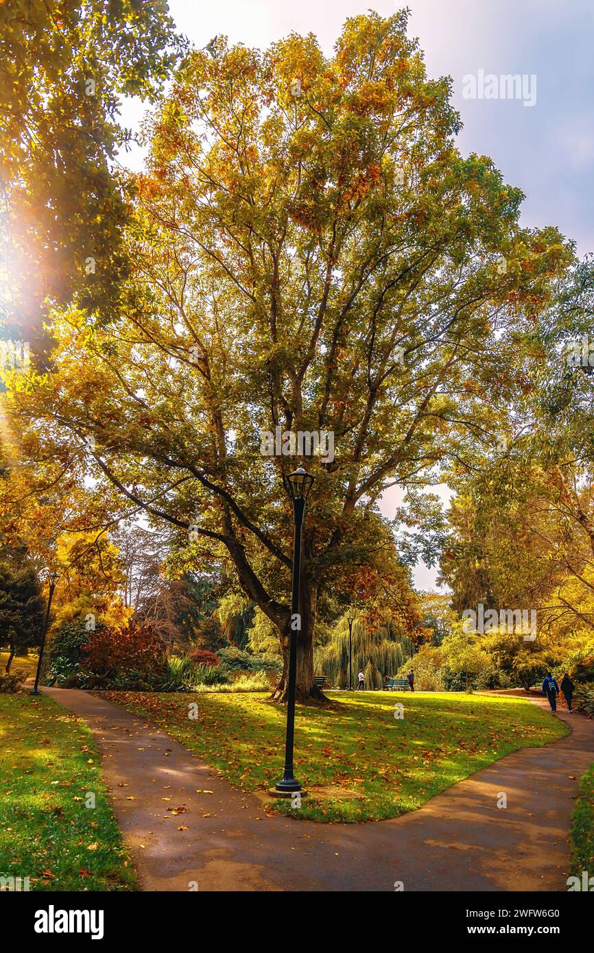 Sunshine victoria hi-res stock photography and images - Alamy