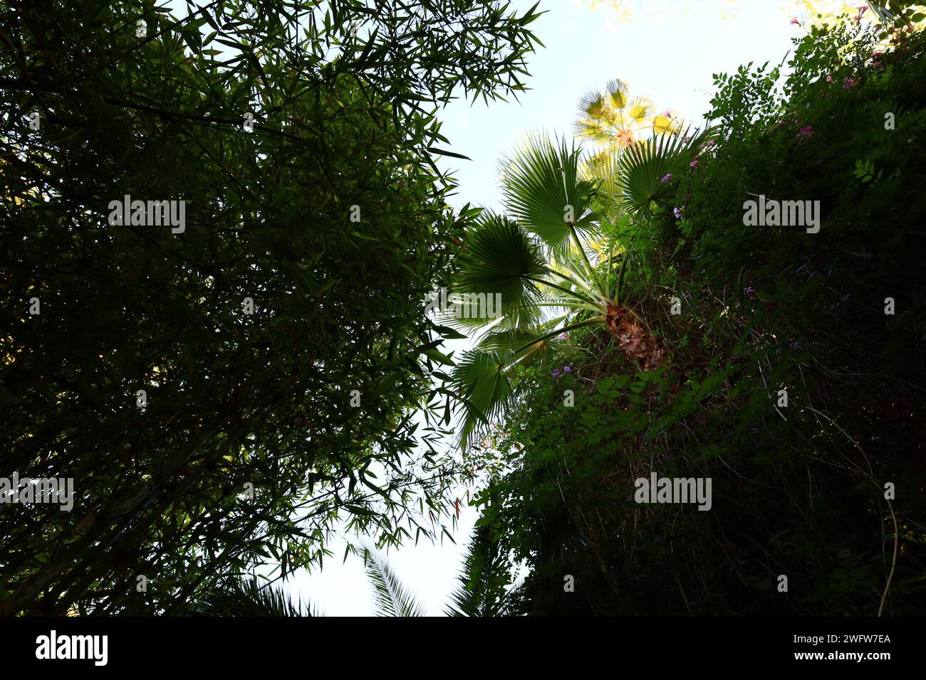 Anima Garden is a botanical garden located on the outskirts of the city ...