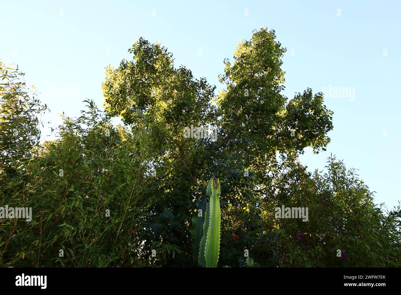 Anima Garden is a botanical garden located on the outskirts of the city ...