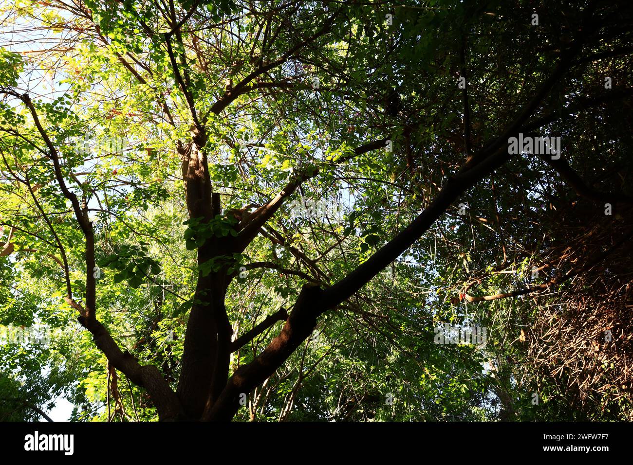 Anima Garden is a botanical garden located on the outskirts of the city ...