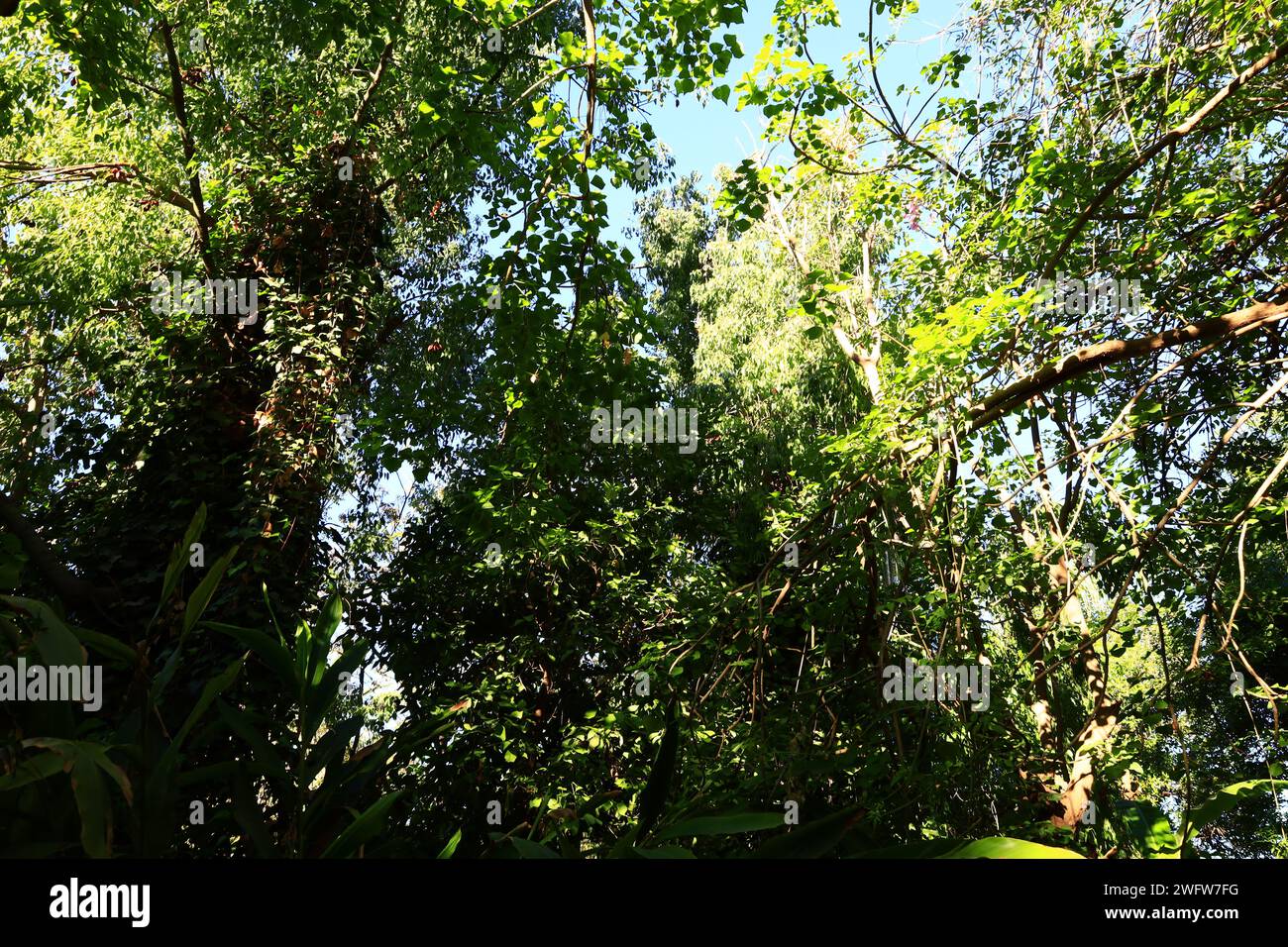 Anima Garden is a botanical garden located on the outskirts of the city ...