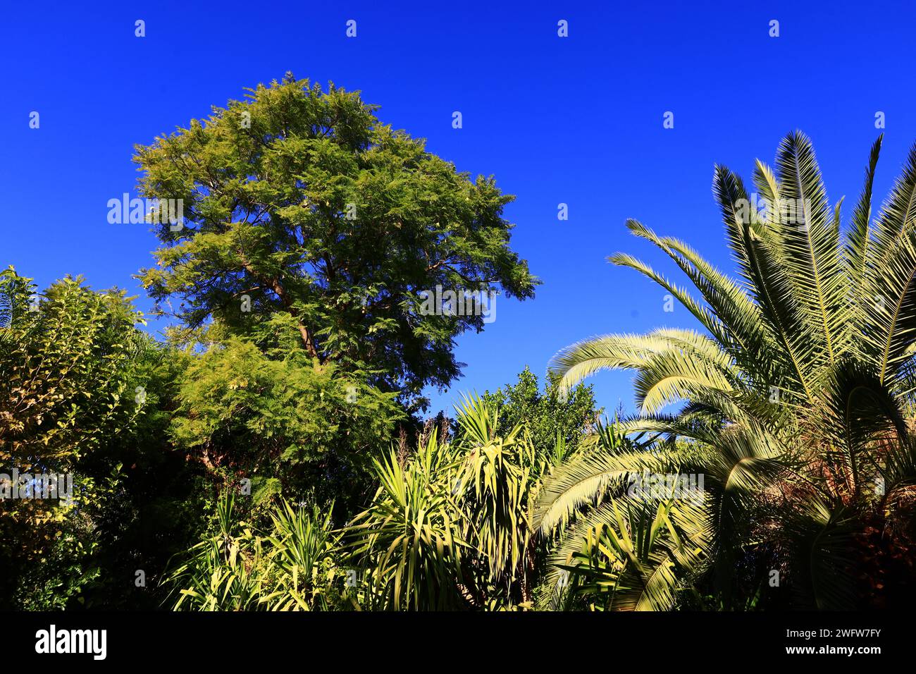 Anima Garden is a botanical garden located on the outskirts of the city ...