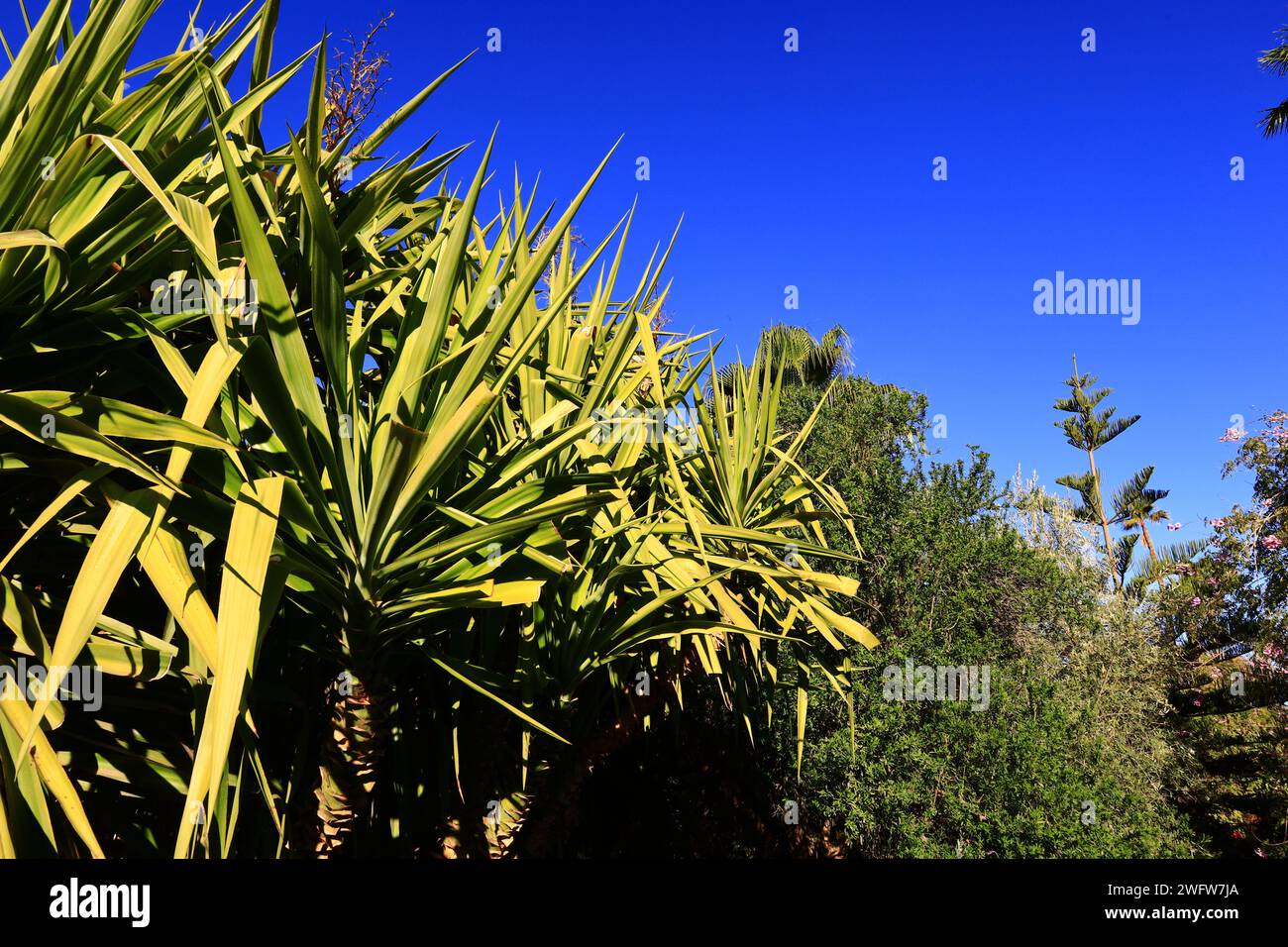 Anima Garden is a botanical garden located on the outskirts of the city ...