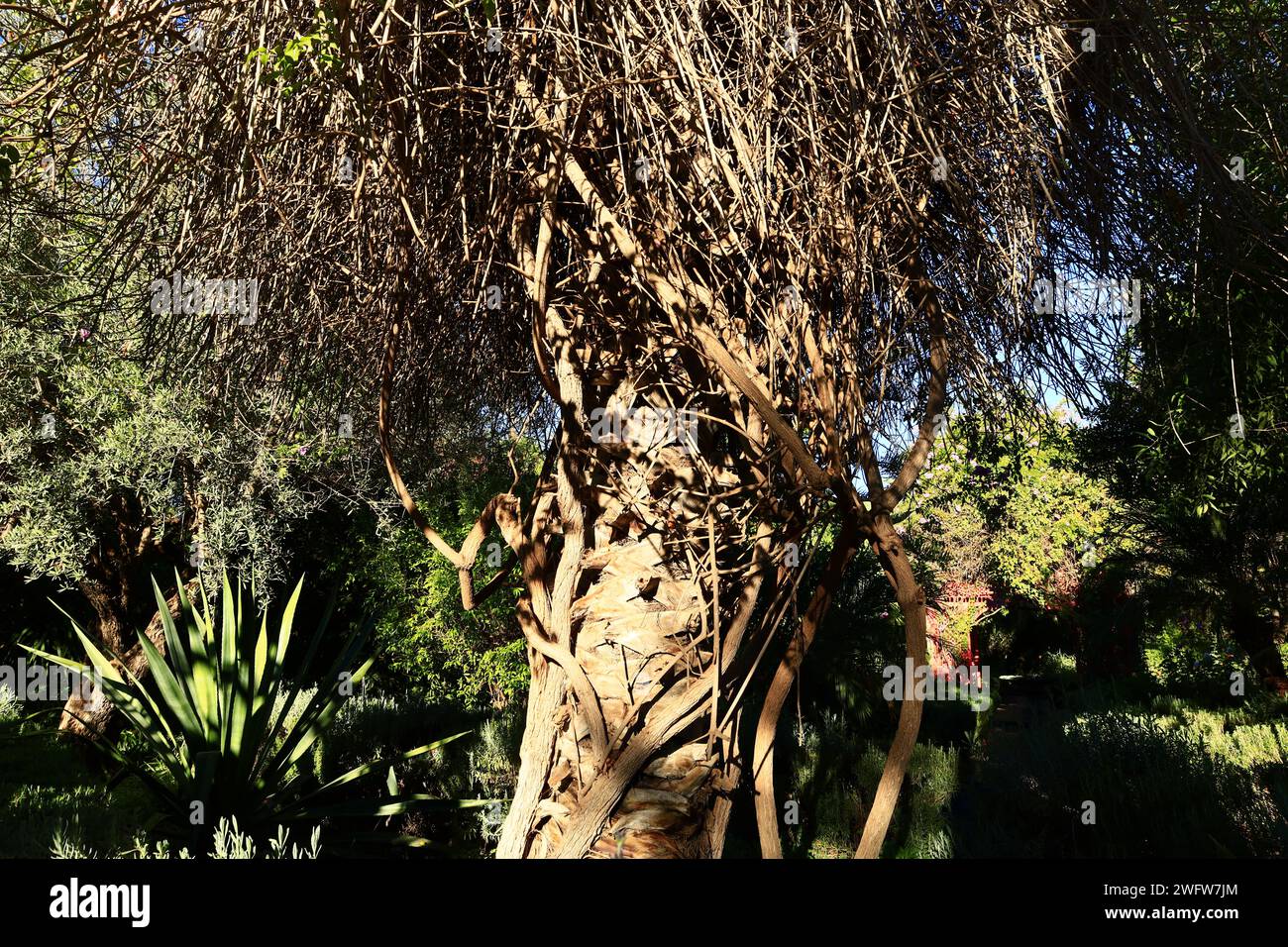 Anima Garden is a botanical garden located on the outskirts of the city ...