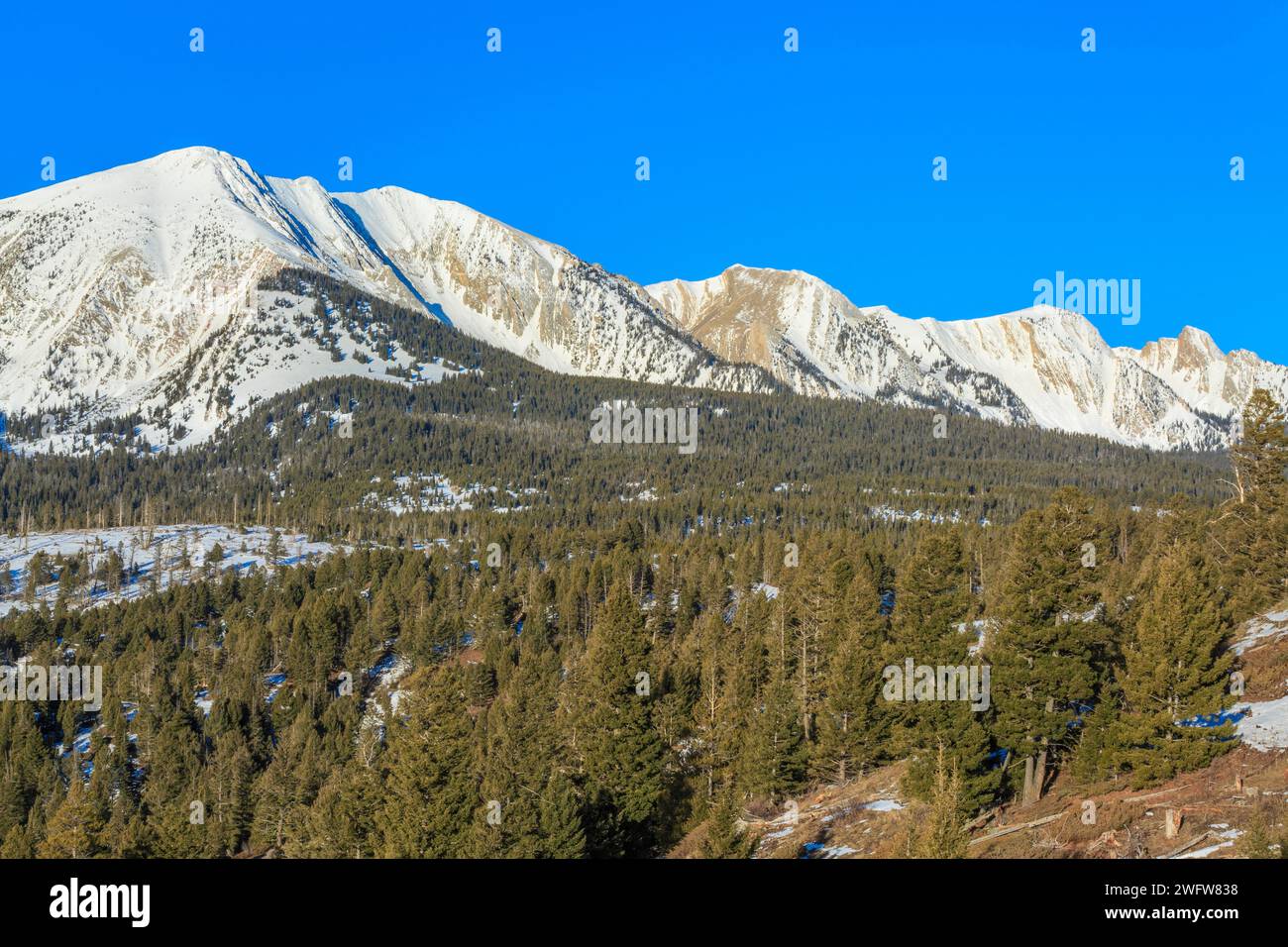 Sacagawea peak bridger mountains hi-res stock photography and images ...
