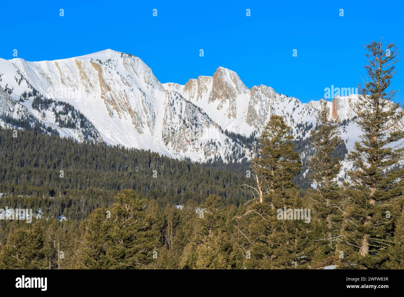 Mt d1168 hi-res stock photography and images - Alamy