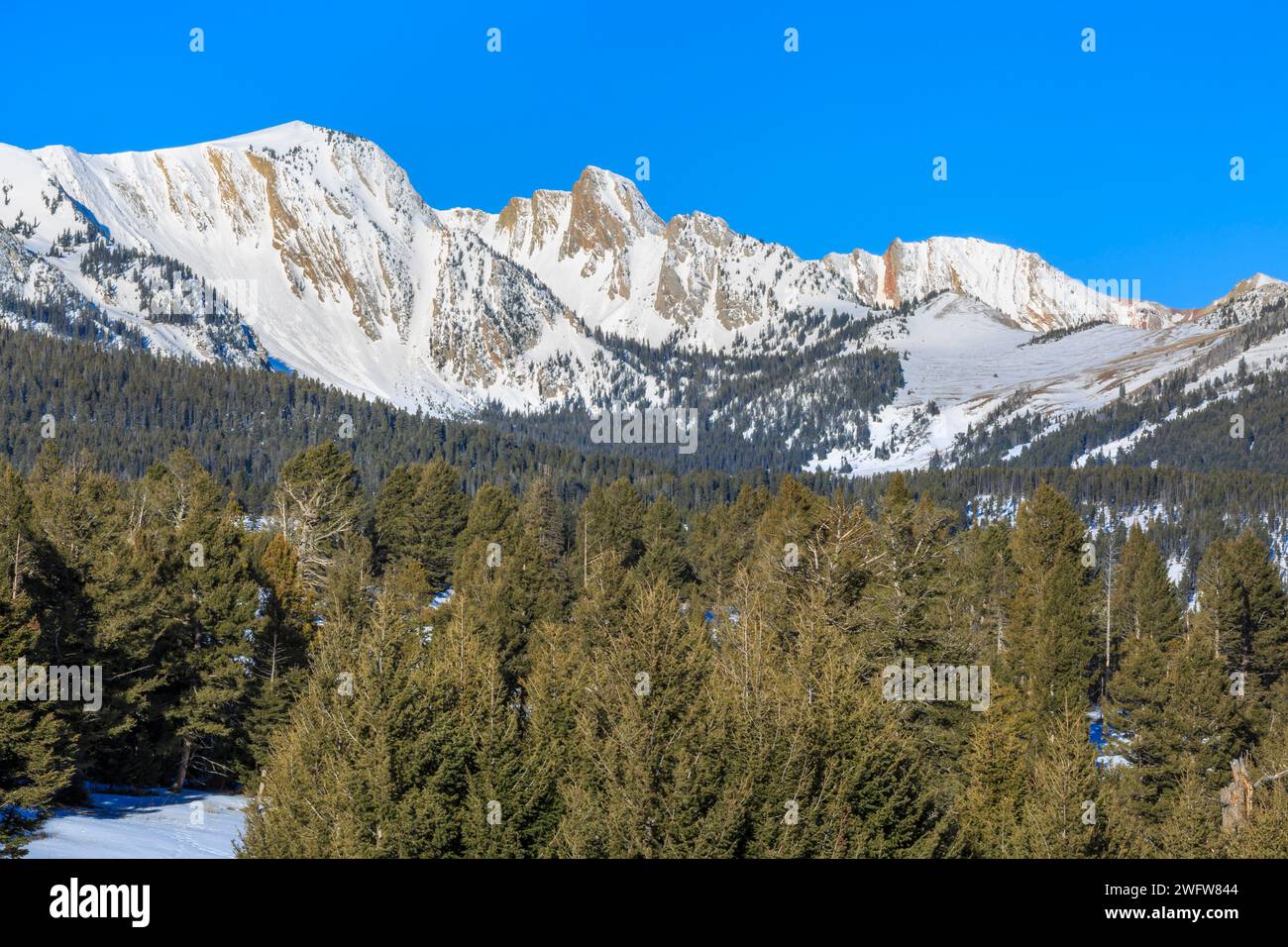 Mt d1180 hi-res stock photography and images - Alamy