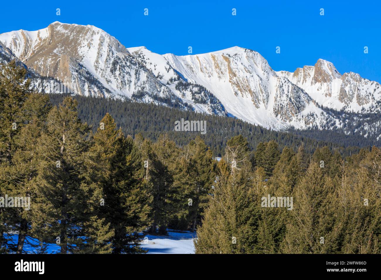 peaks of the bridger range in winter near bozeman, montana Stock Photo ...
