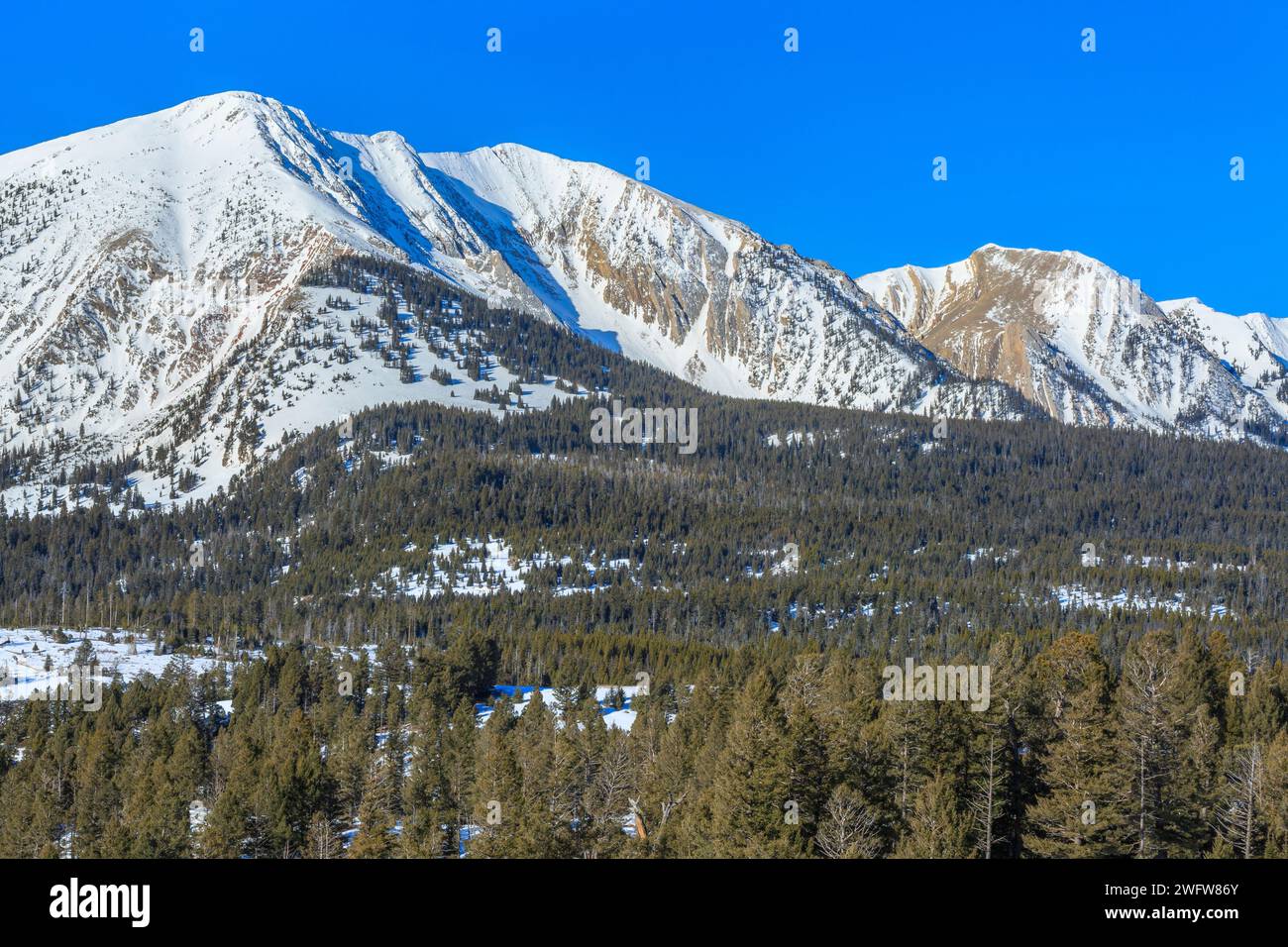 peaks of the bridger range in winter near bozeman, montana Stock Photo ...