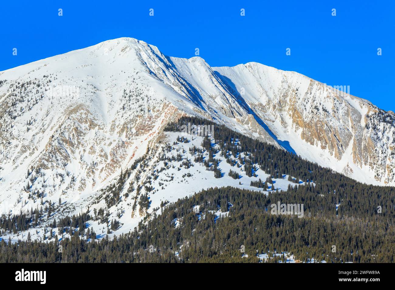 sacagawea peak in the bridger range in winter near bozeman, montana ...