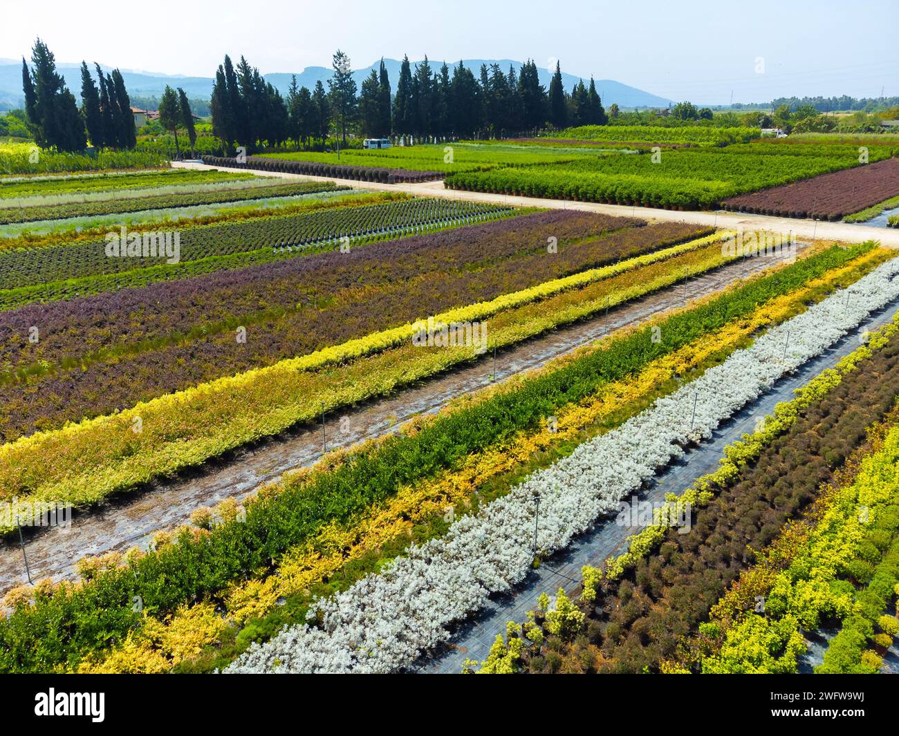 Aerial photography from a drone of fields with a variety of colors of ...