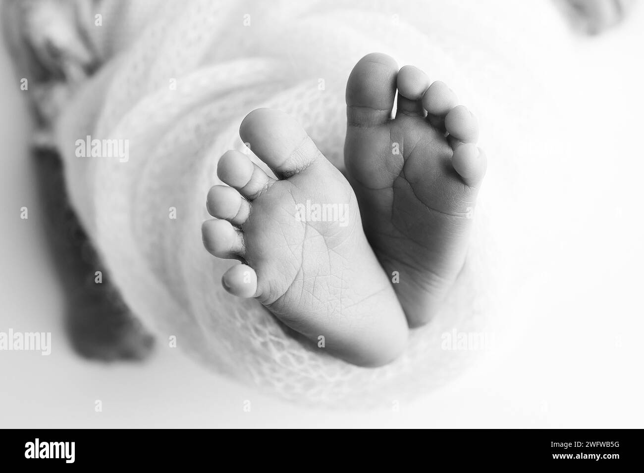 The tiny foot of a newborn baby. Soft feet of a new born in a blanket ...