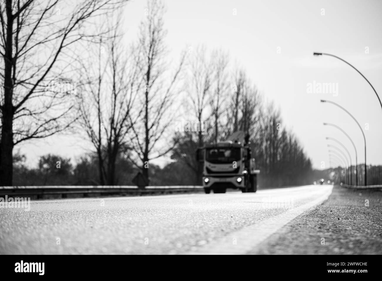 Desolate route, surrounded by trees, hot road in sunny day Stock Photo ...