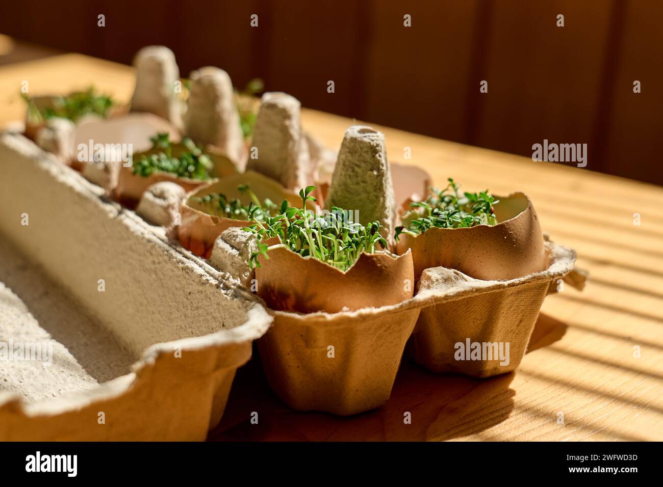 Eco sostenible hi-res stock photography and images - Alamy