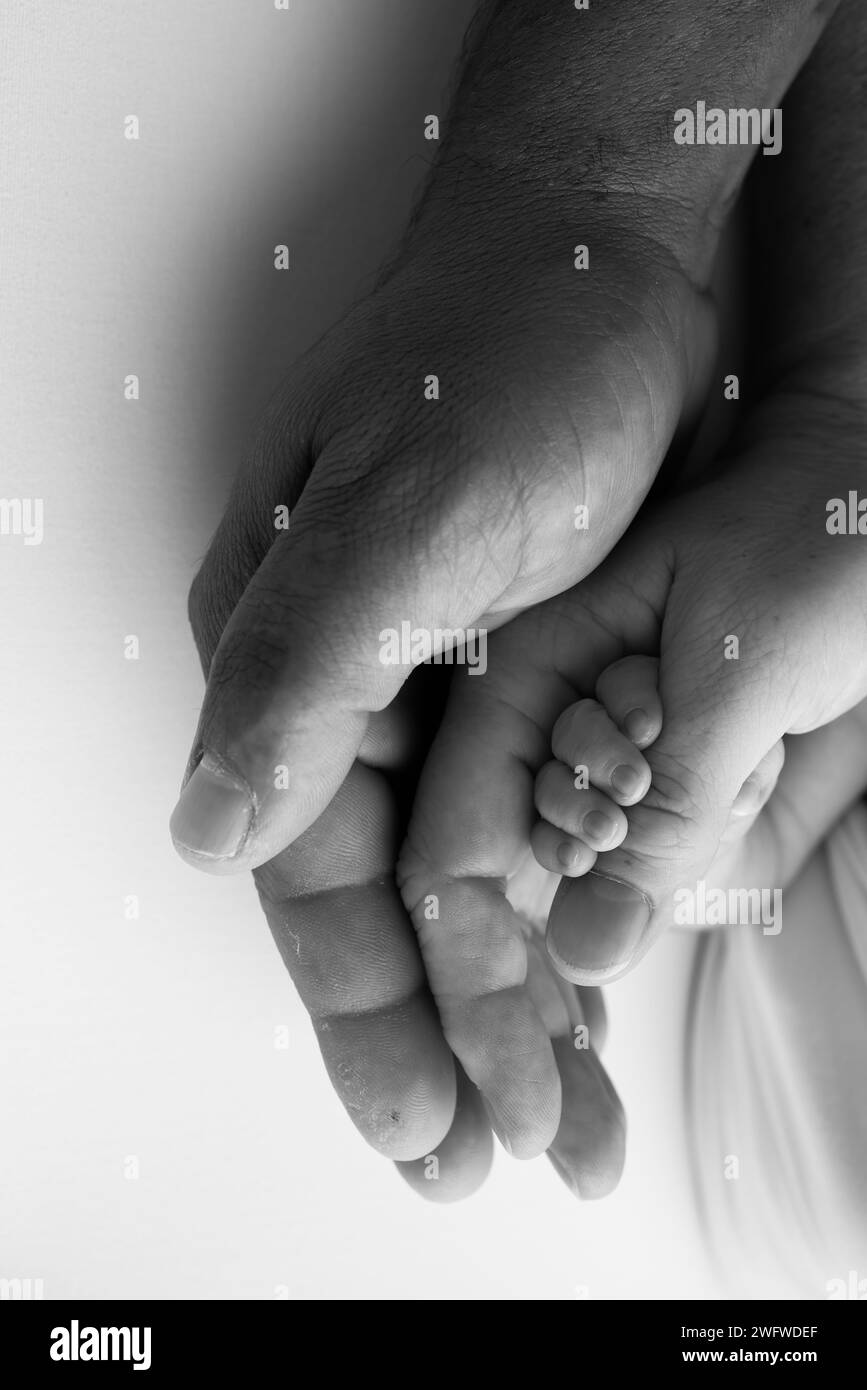 Three palms of happy family Small newborn hand with tiny fingers. The ...
