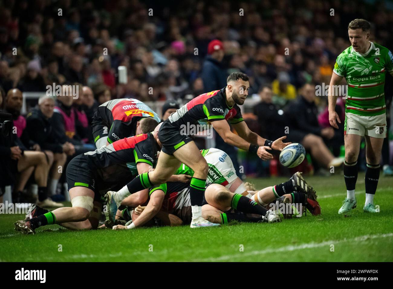 The stoop harlequin hi-res stock photography and images - Alamy