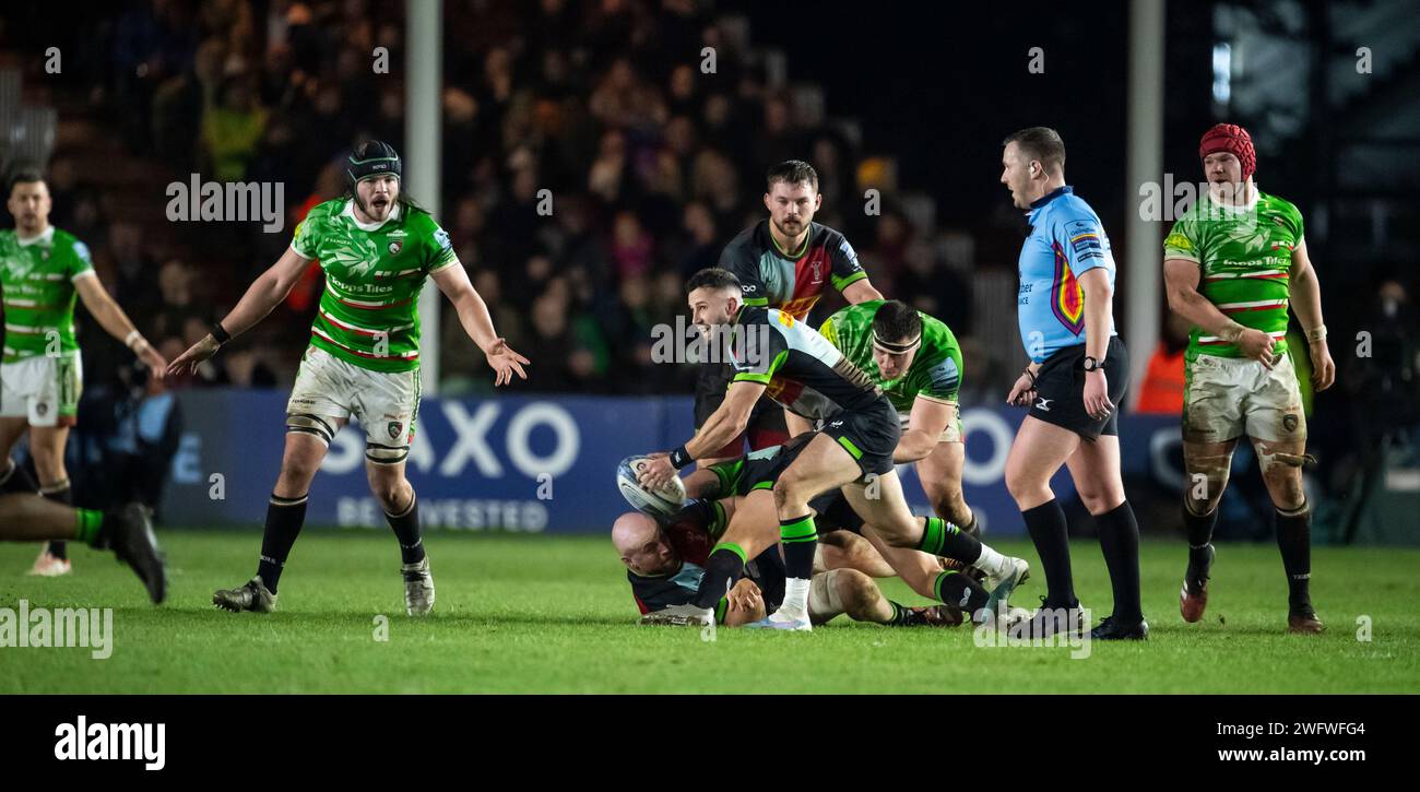 The stoop harlequin hi-res stock photography and images - Alamy