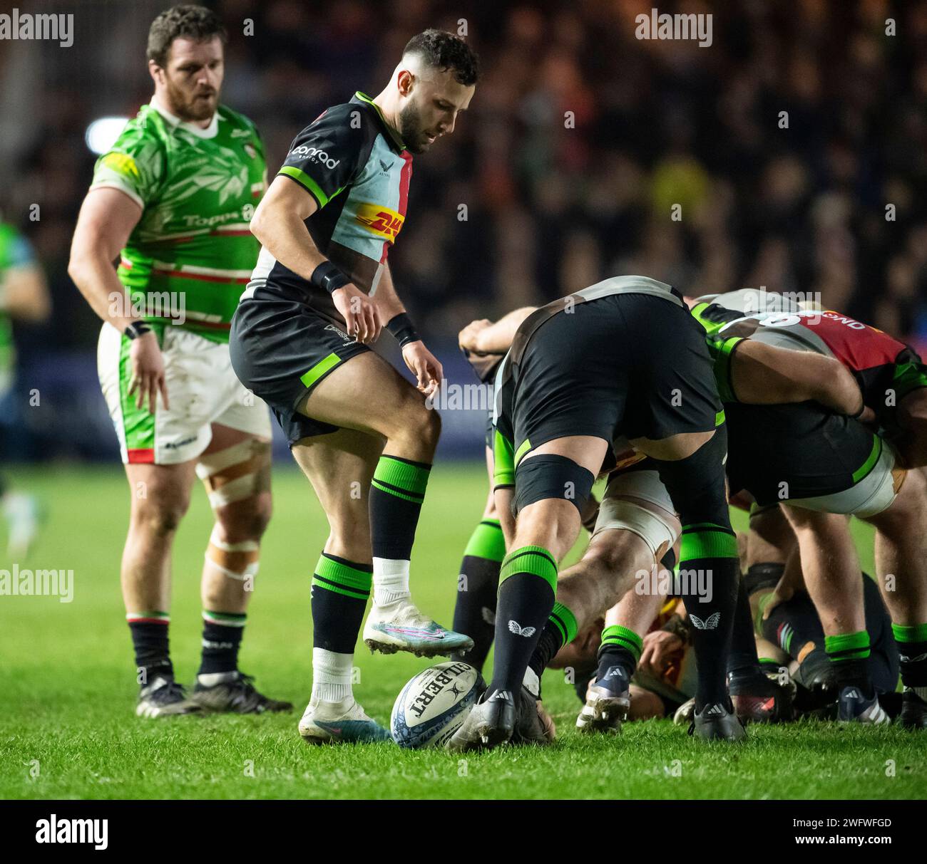 The stoop harlequin hi-res stock photography and images - Alamy