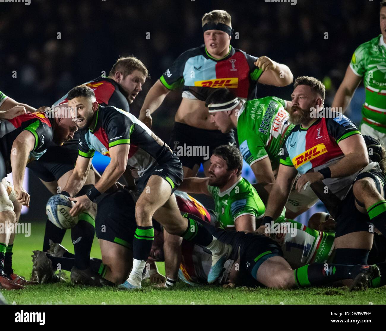 The stoop harlequin hi-res stock photography and images - Alamy