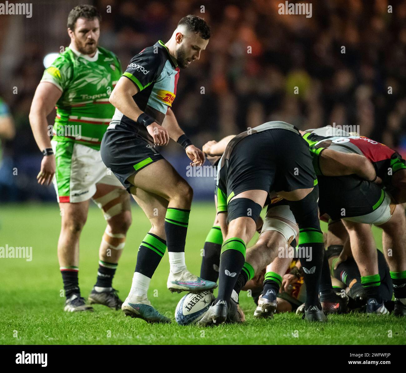 The stoop harlequin hi-res stock photography and images - Alamy