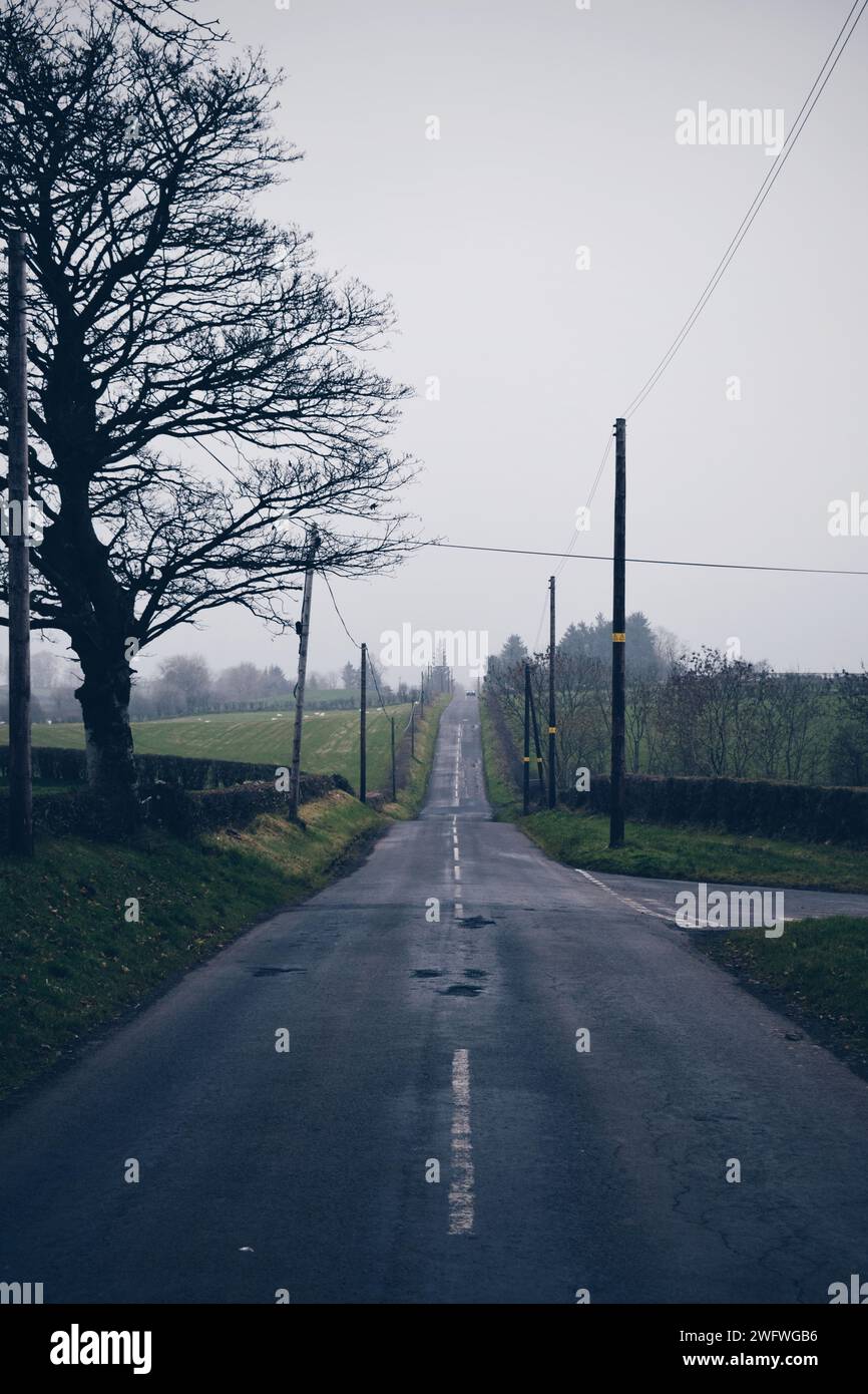 secondary road surrounded by forests in northern ireland, on November ...
