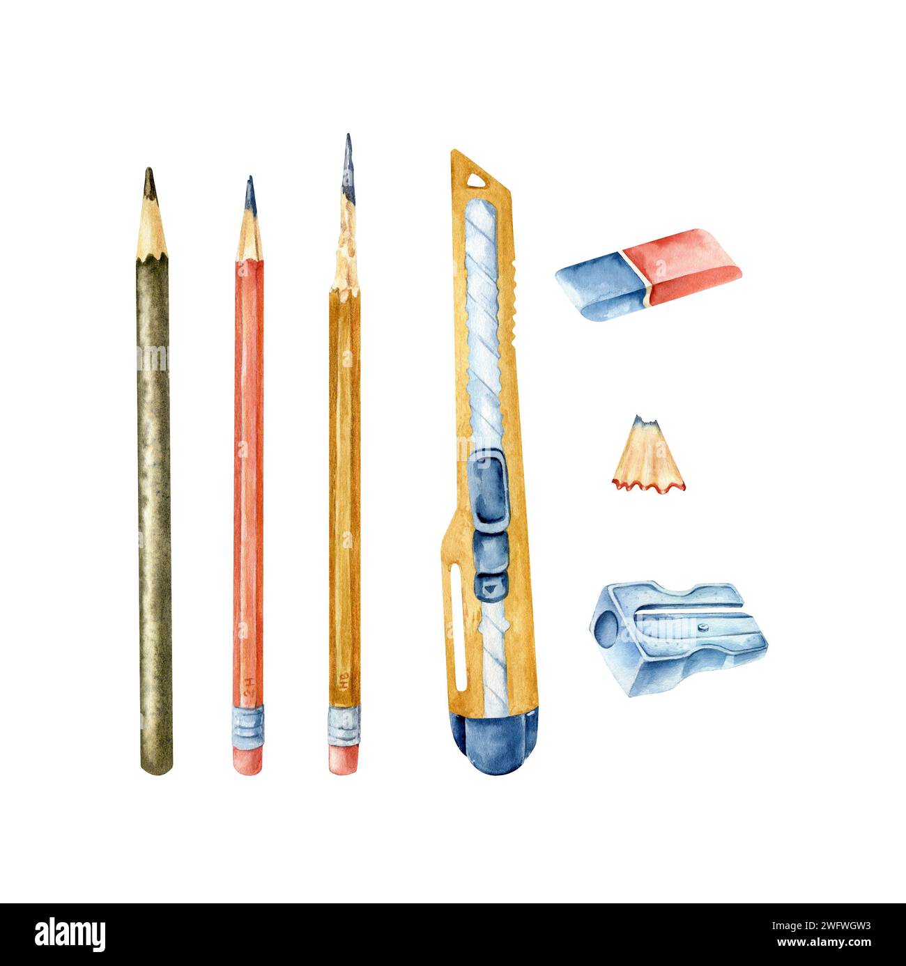 Isolated illustrations are hand painted in watercolor:art materials ...