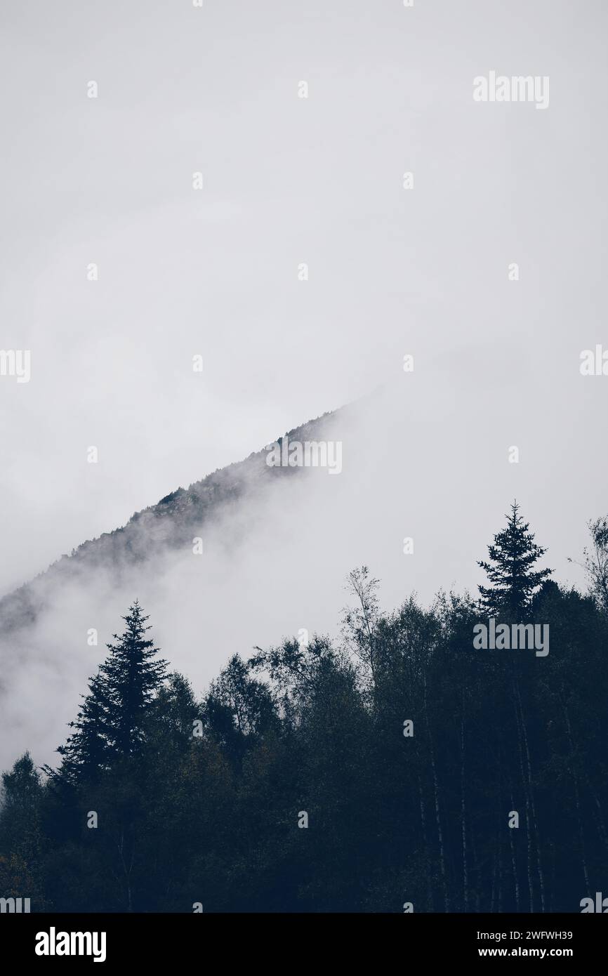 Tenebrous hi-res stock photography and images - Alamy