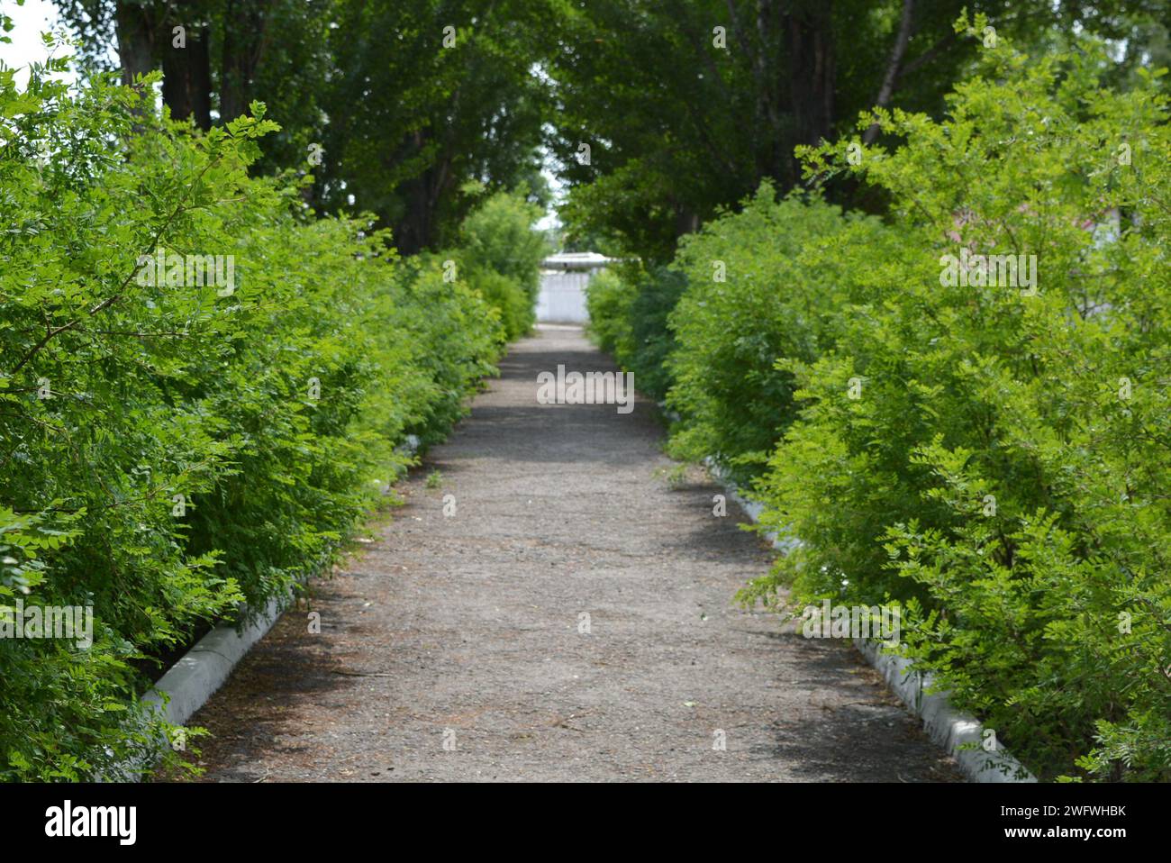 Small scenic garden covered hi-res stock photography and images - Alamy