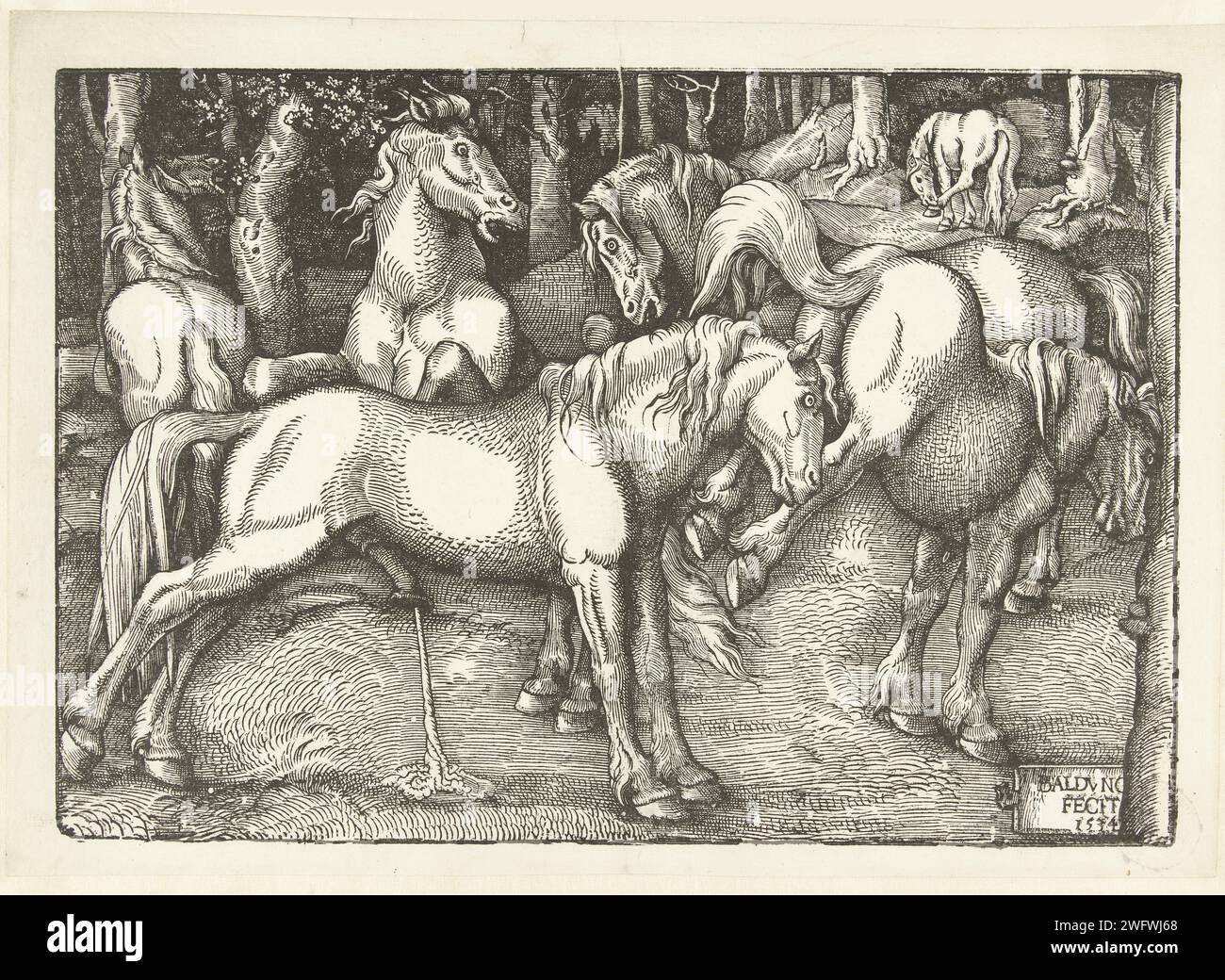 Group of six fighting horses, Hans Baldung Grien, 1534 print In a ...