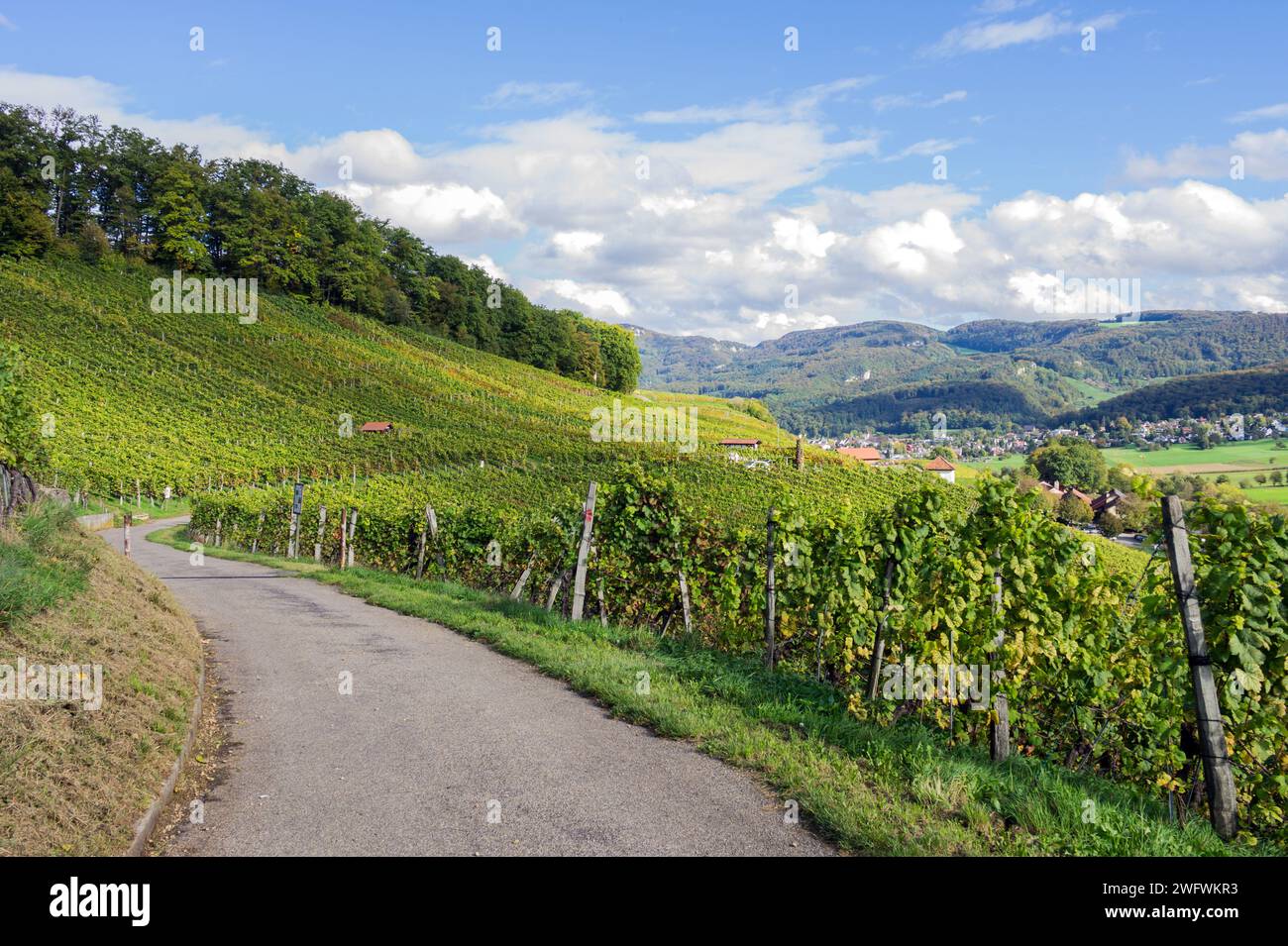 Bigott hi-res stock photography and images - Alamy