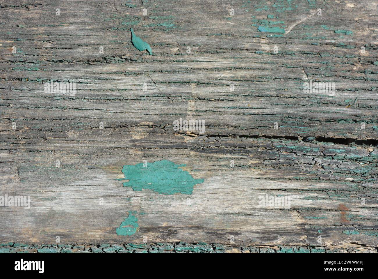 An old large withered wooden board with peeling green paint, a thick ...