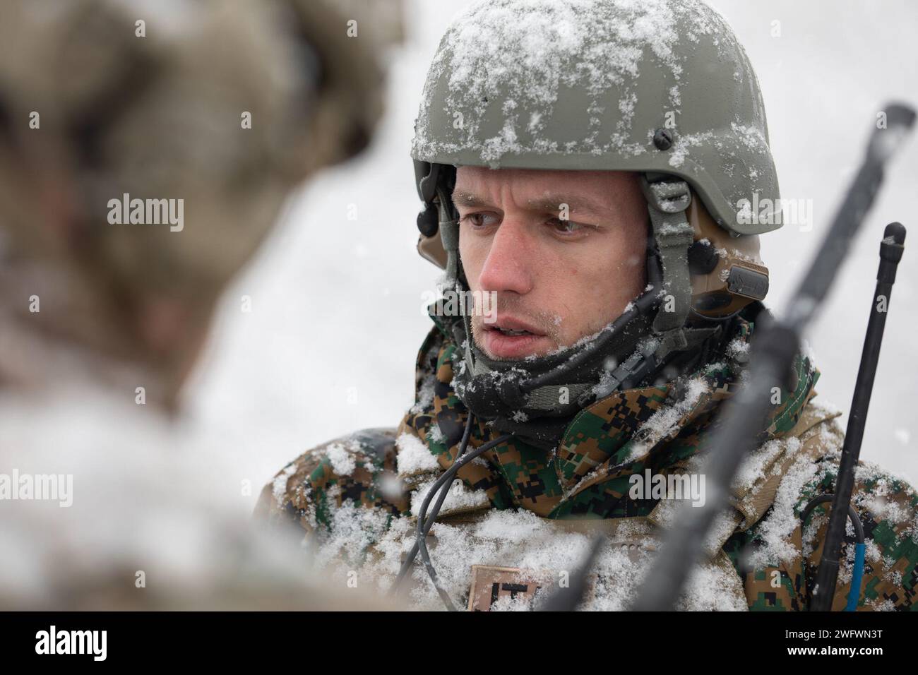 A joint terminal attack controller with Armed Forces of Bosnia and Herzegovina (BiH ...