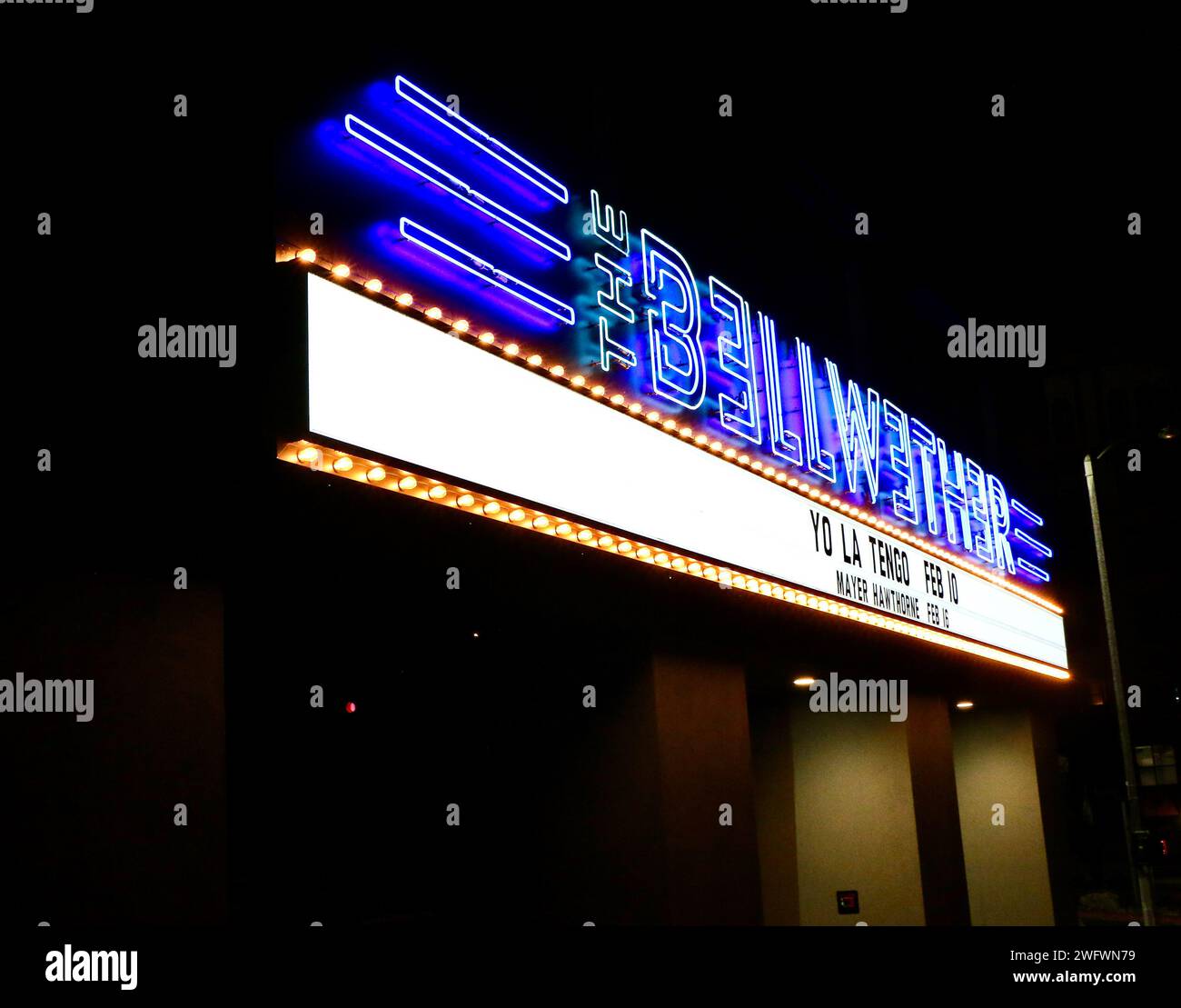 Bellwether hi-res stock photography and images - Alamy