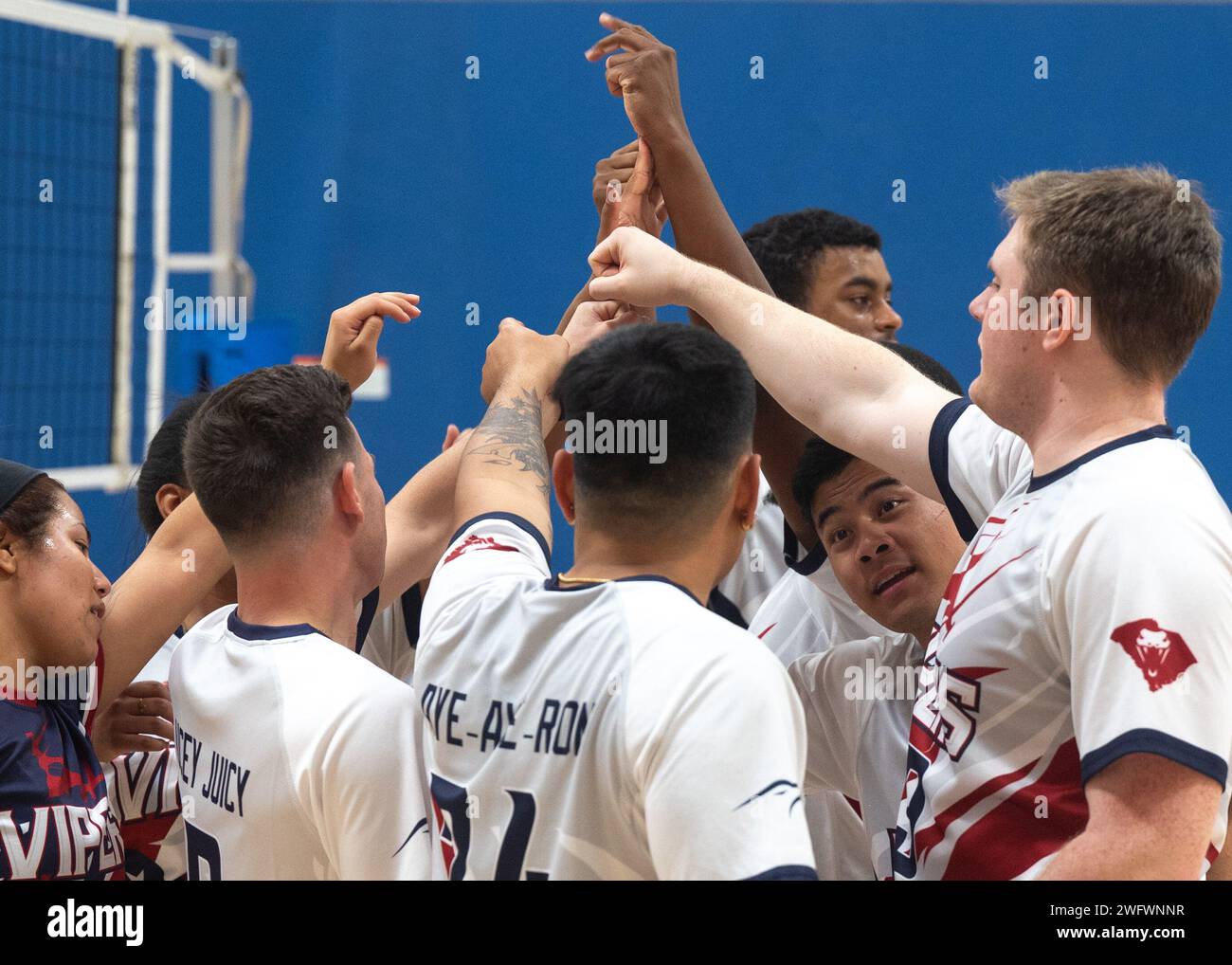 Viper volleyball associatin hi-res stock photography and images - Alamy