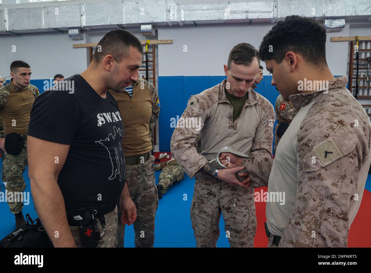 Tennessee toth hi-res stock photography and images - Alamy