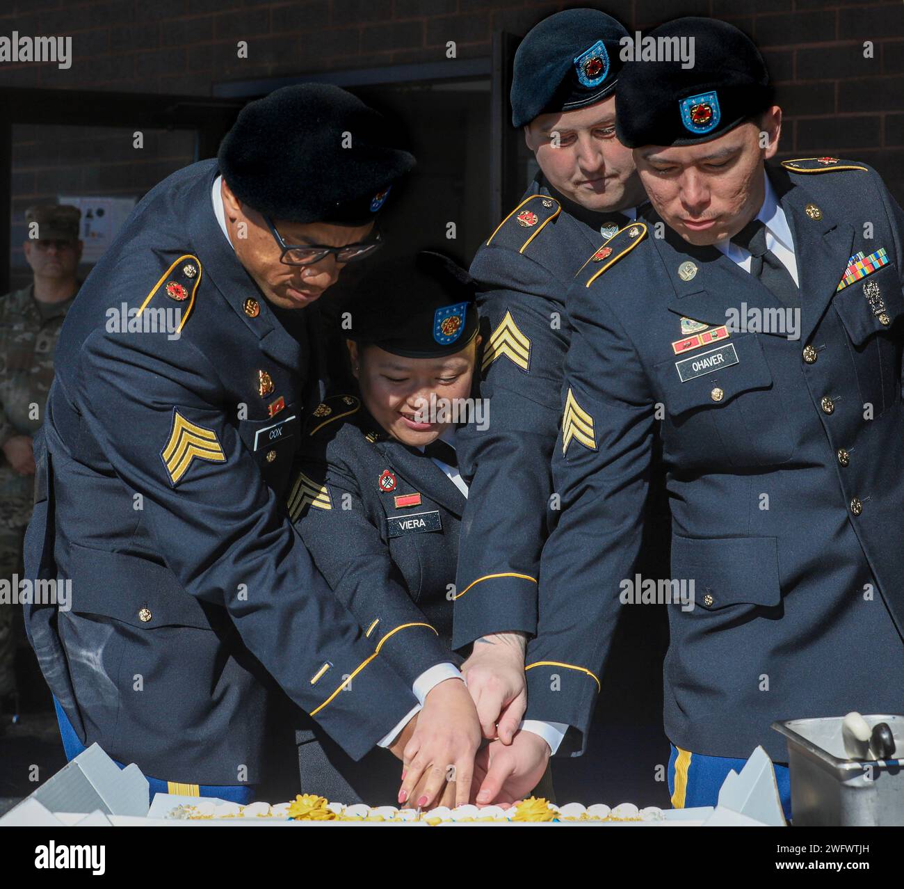 Soldiers with the 3rd Sustainment Brigade, 3rd Infantry Division, cut ...
