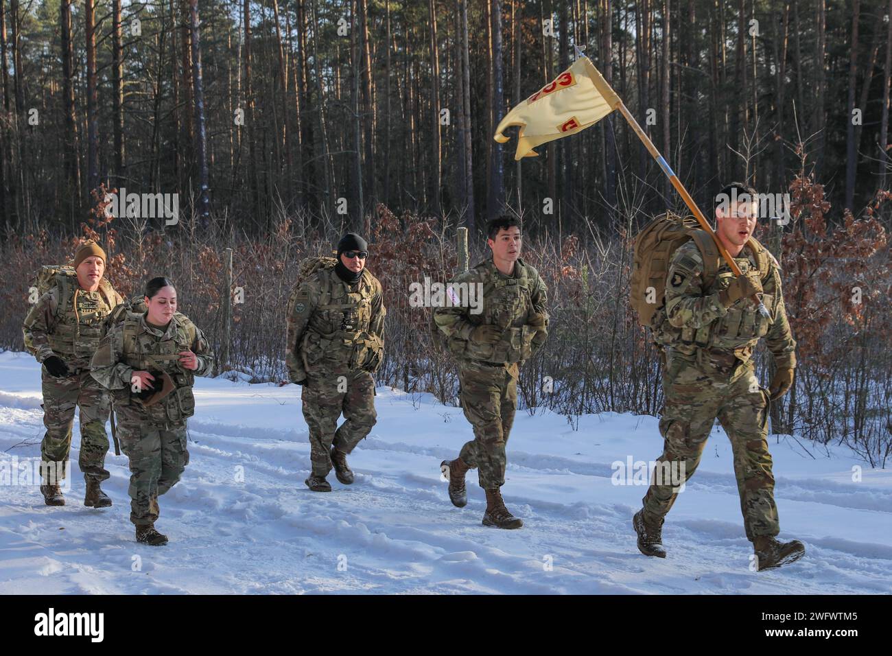 Panther division hi-res stock photography and images - Alamy