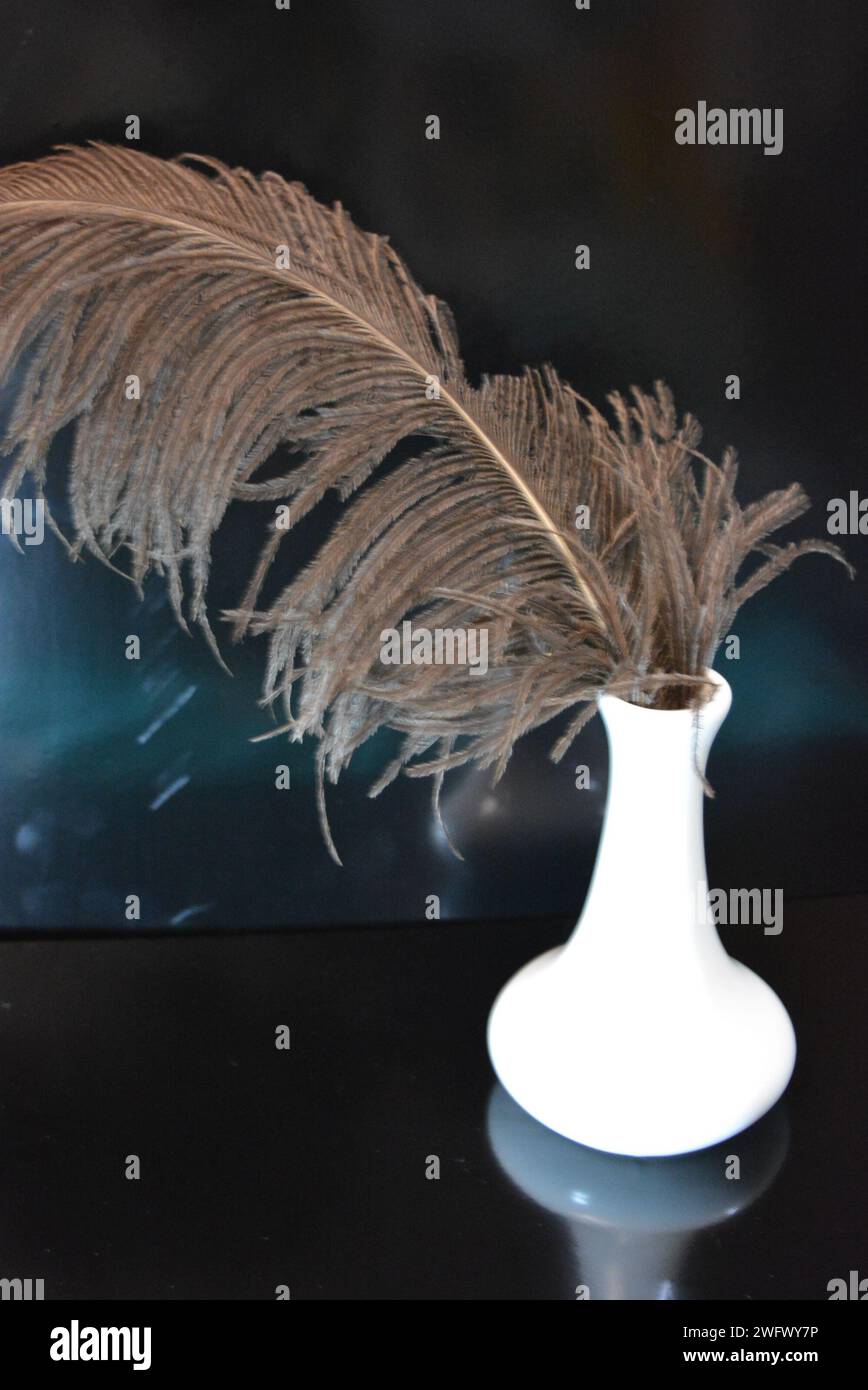 Home furnishings, style, white ceramic vase with large grey ostrich ...
