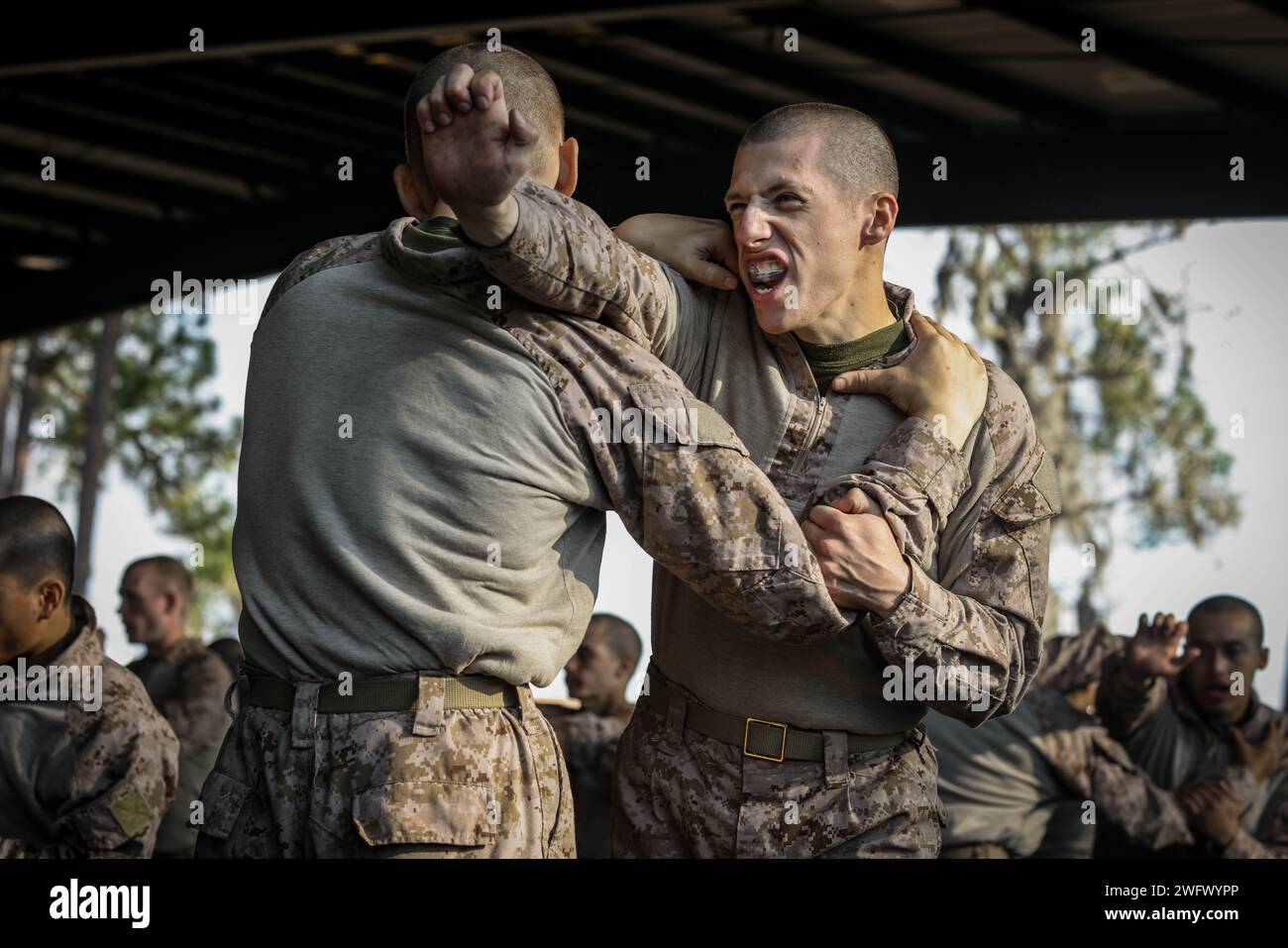 Recruits with Kilo Company, 3rd Recruit Training Battalion, execute tan belt techniques as part ...