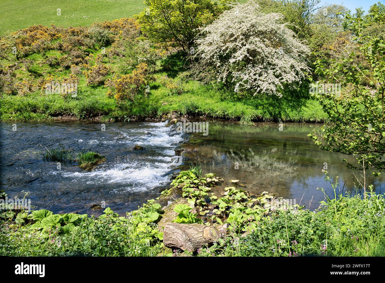 Dovedale, Peak District, Derbyshire, England, UK - In springtime a ...