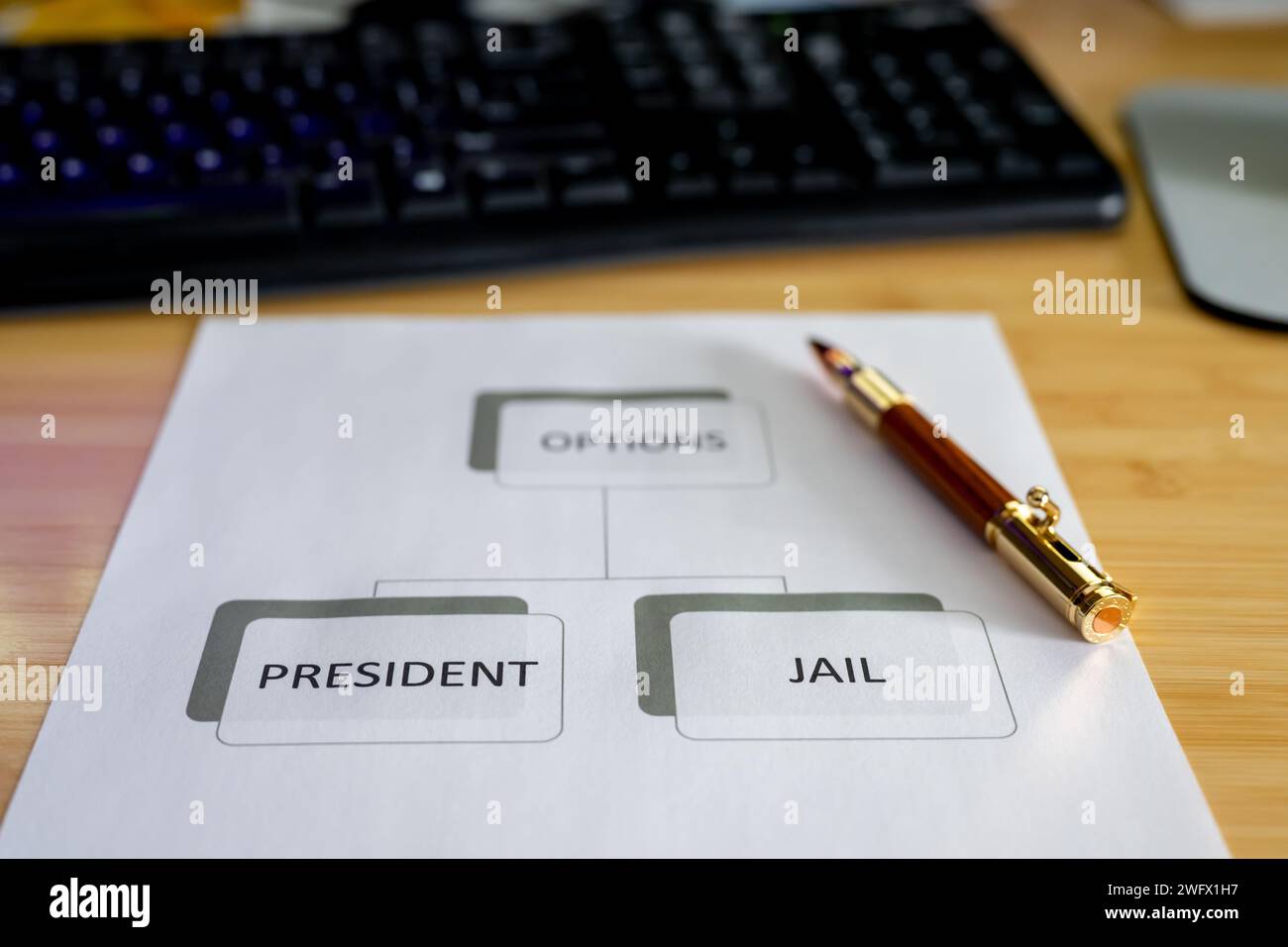 Flow chart for political options to be either elected president or go ...