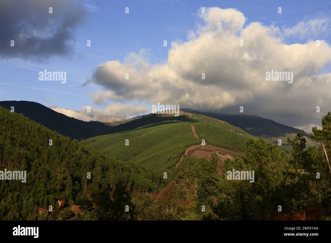 Serra da Estrela Natural Park is situated in the largest mountain range ...
