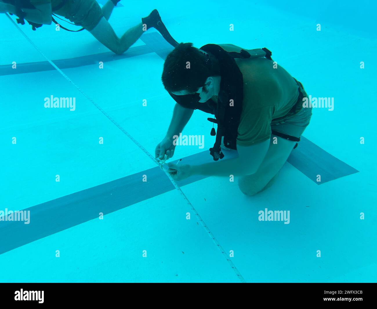 Drown proofing hi-res stock photography and images - Alamy