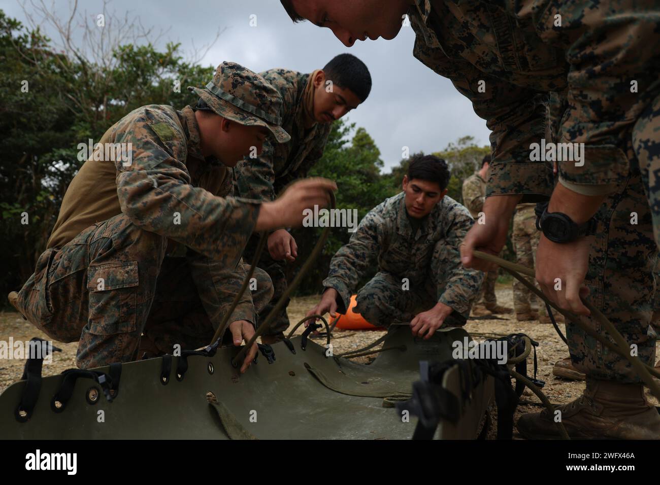U.S. Marines with III Marine Expeditionary Force prepare a sked stretcher during Basic Jungle ...