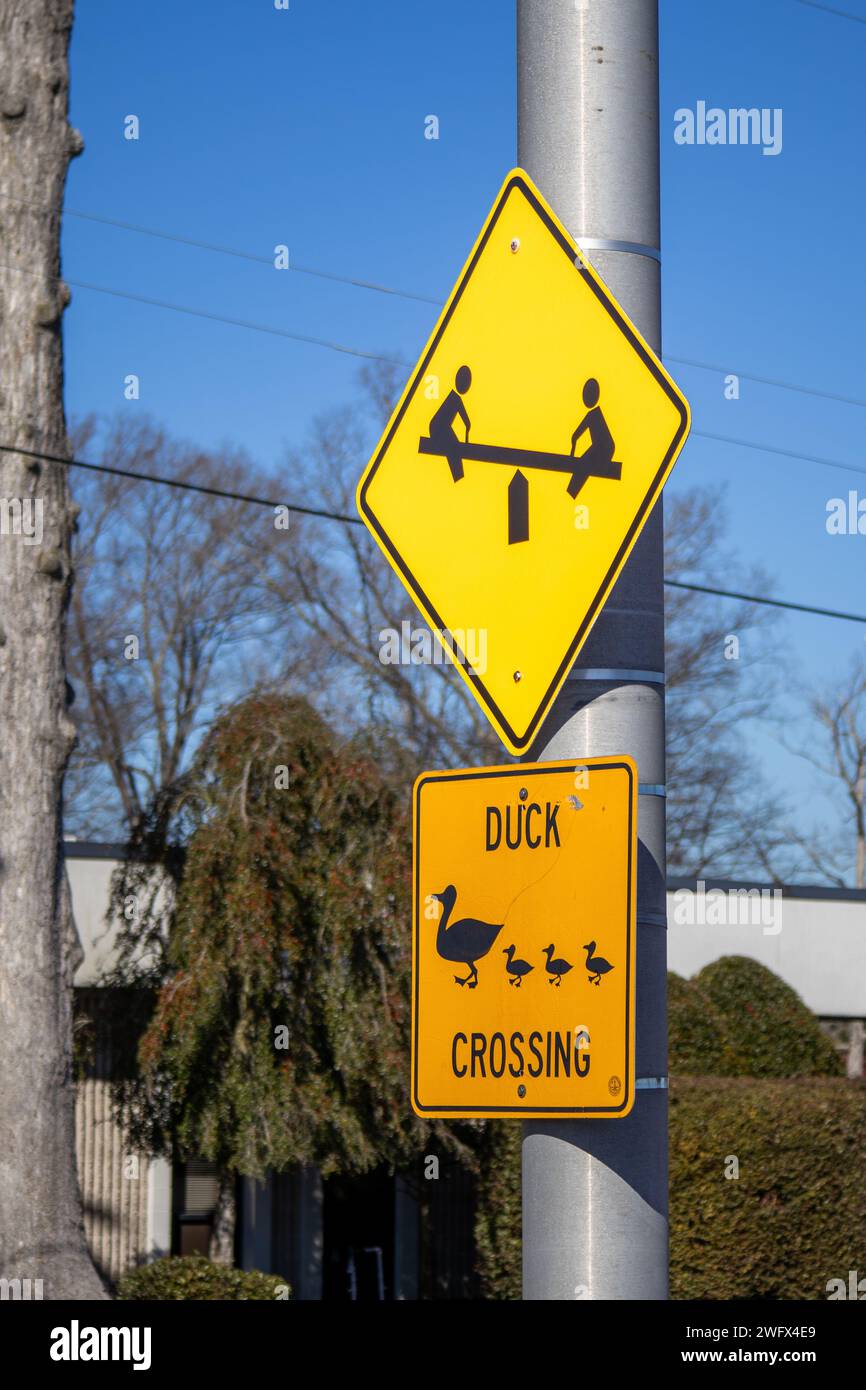 Duck crossing road sign hi-res stock photography and images - Alamy