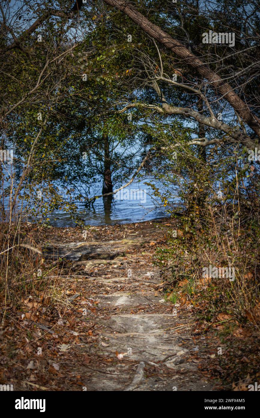 Hidden Pathway to Lake Under Tree Branches Stock Photo - Alamy