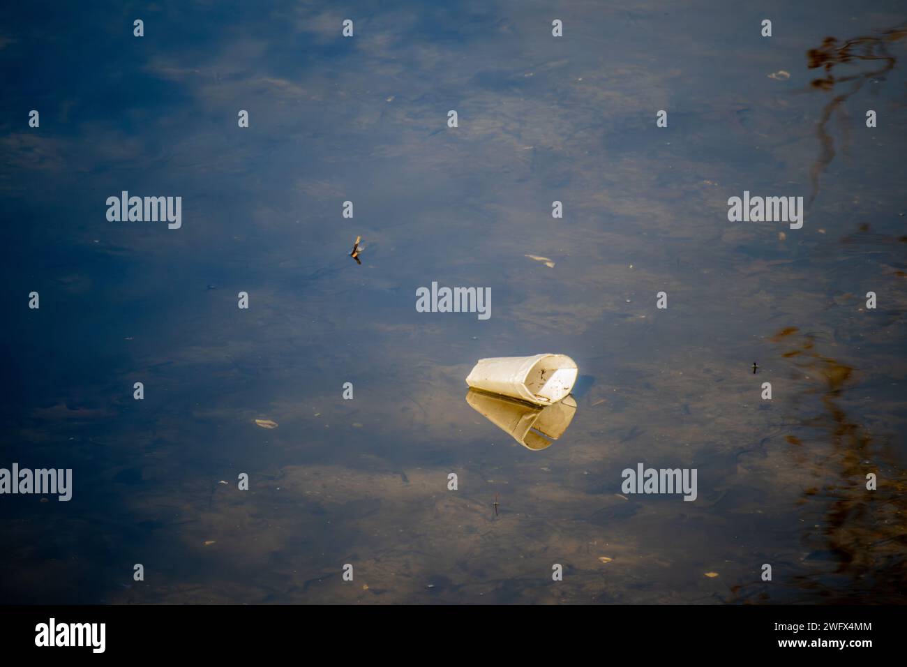 Dirty lake hi-res stock photography and images - Alamy