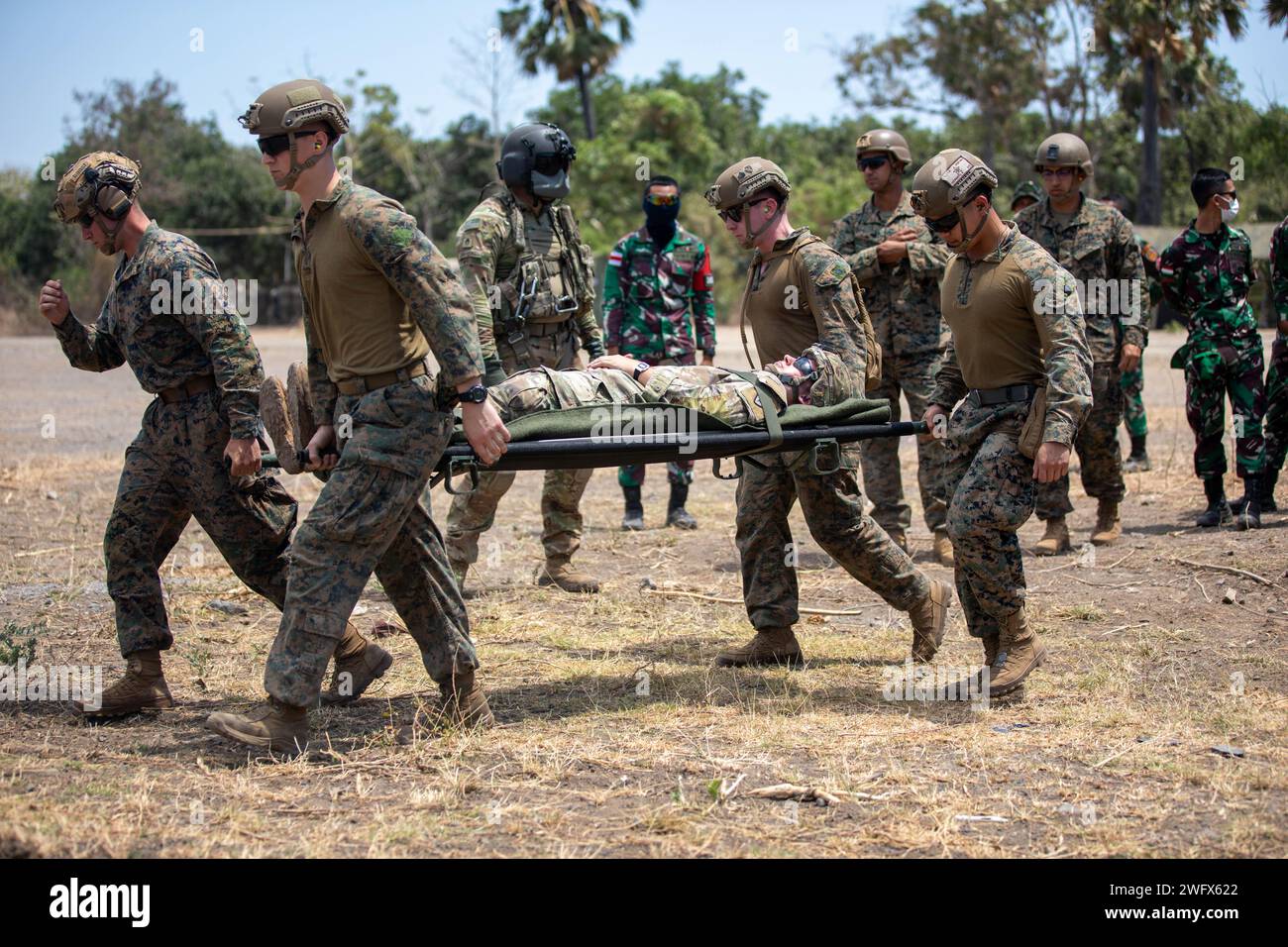 U.S. Army Soldiers, Marines, and Indonesian National Armed Forces (TNI ...