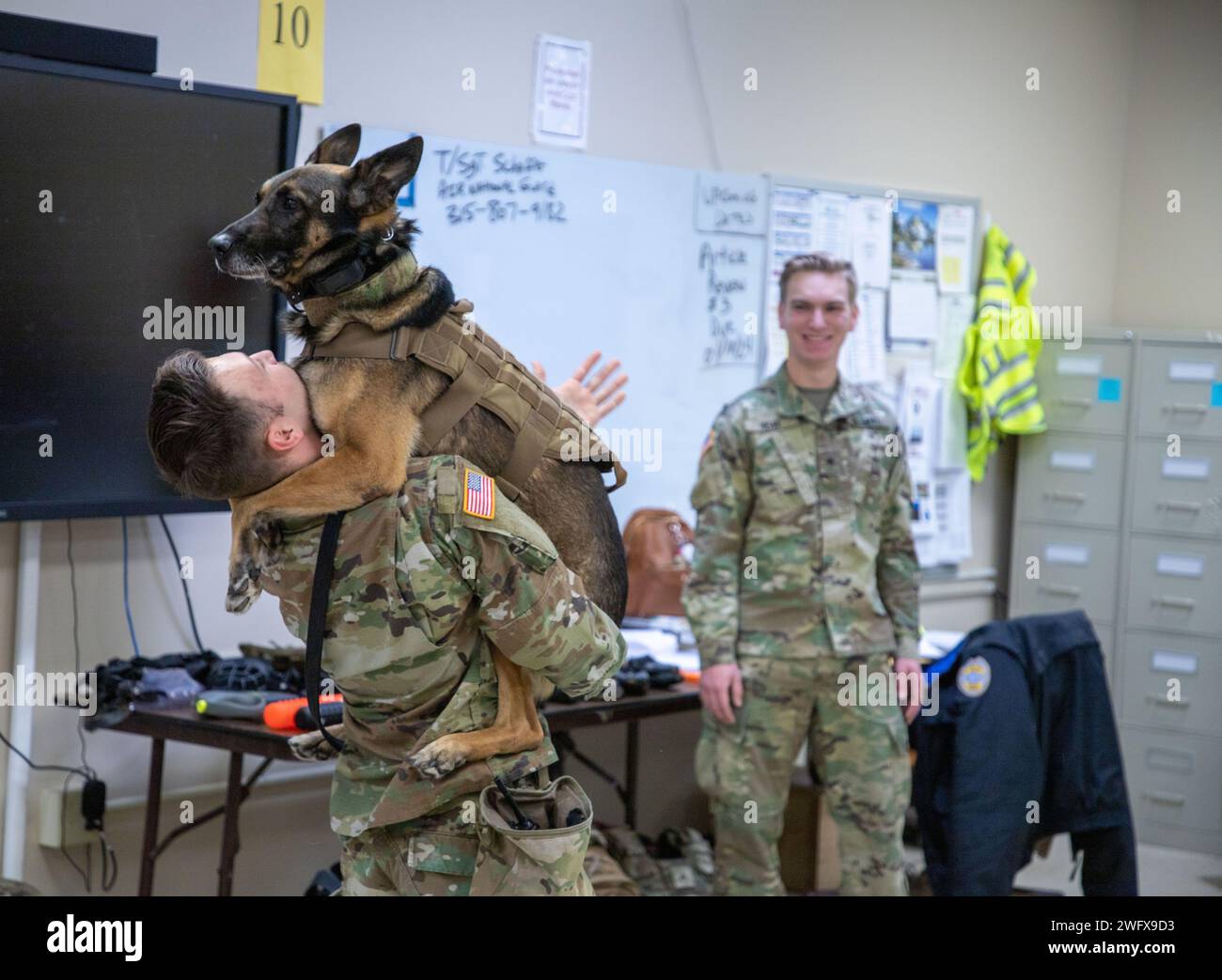 Bill, a military working explosives detector dog, shows off his ...