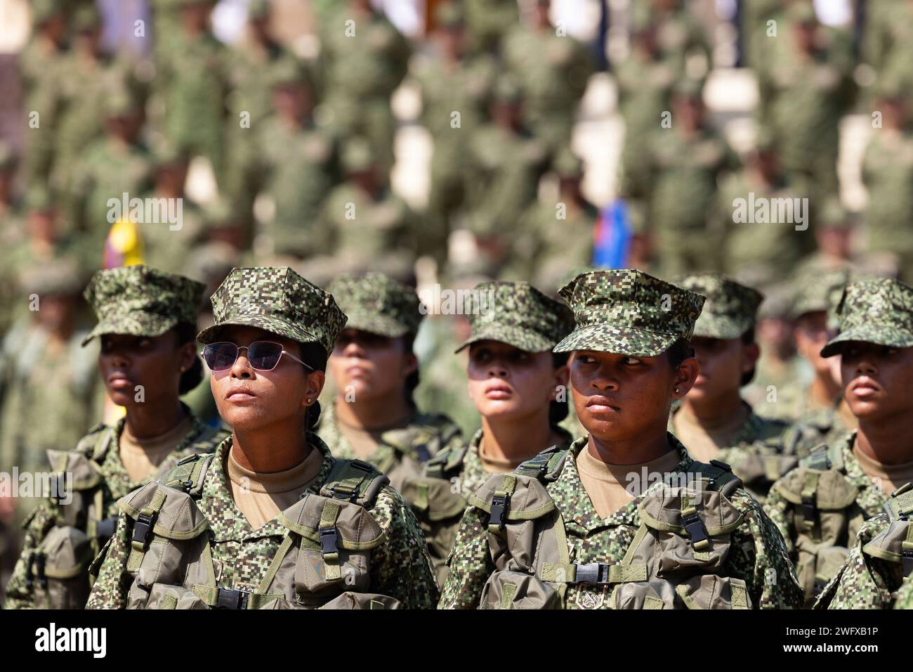 Infantes de Marina de Colombia (Colombian Marines) stand in formation ...